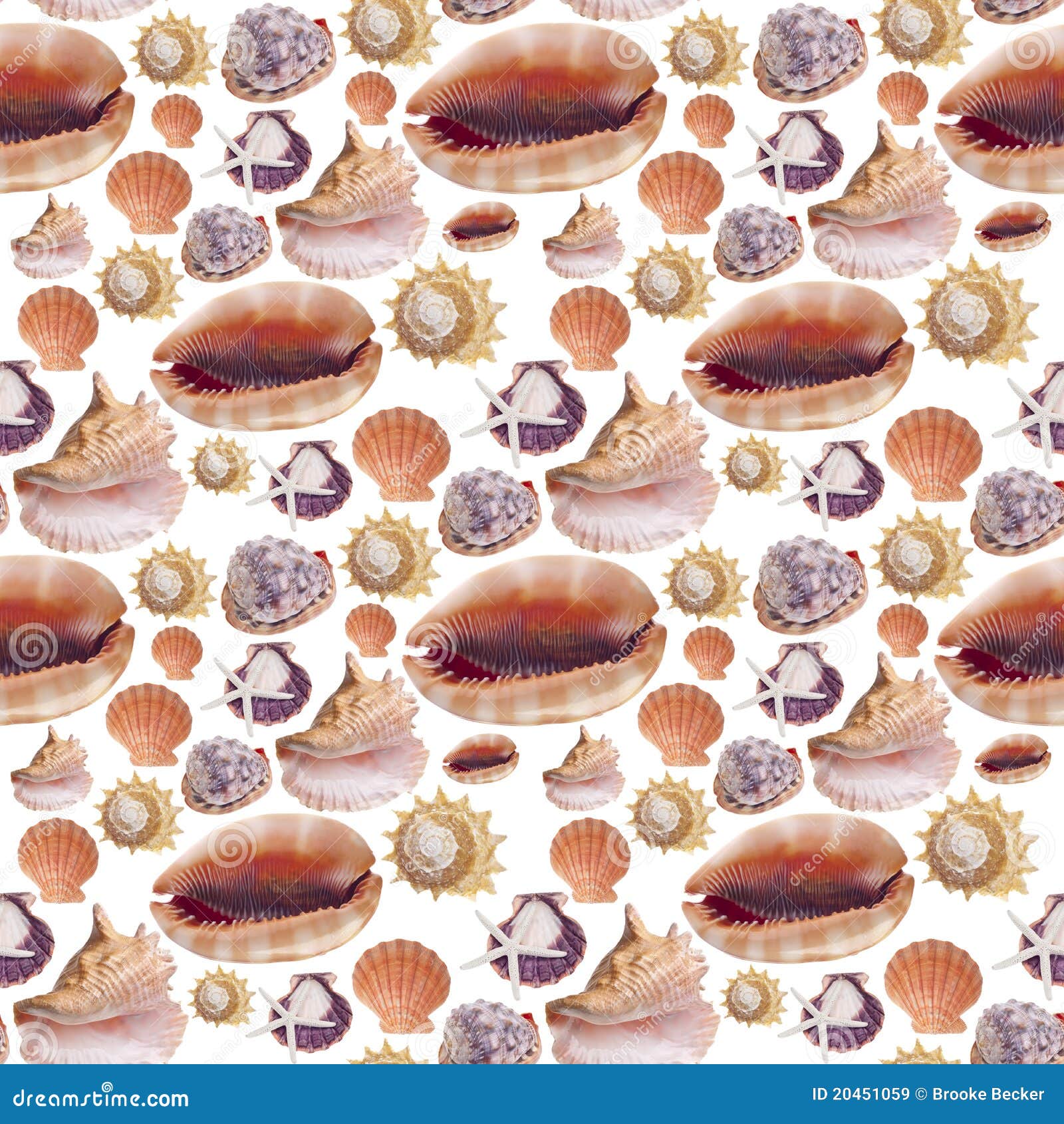 Sea Shell Seamless Background Pattern Stock Image - Image of seamless ...