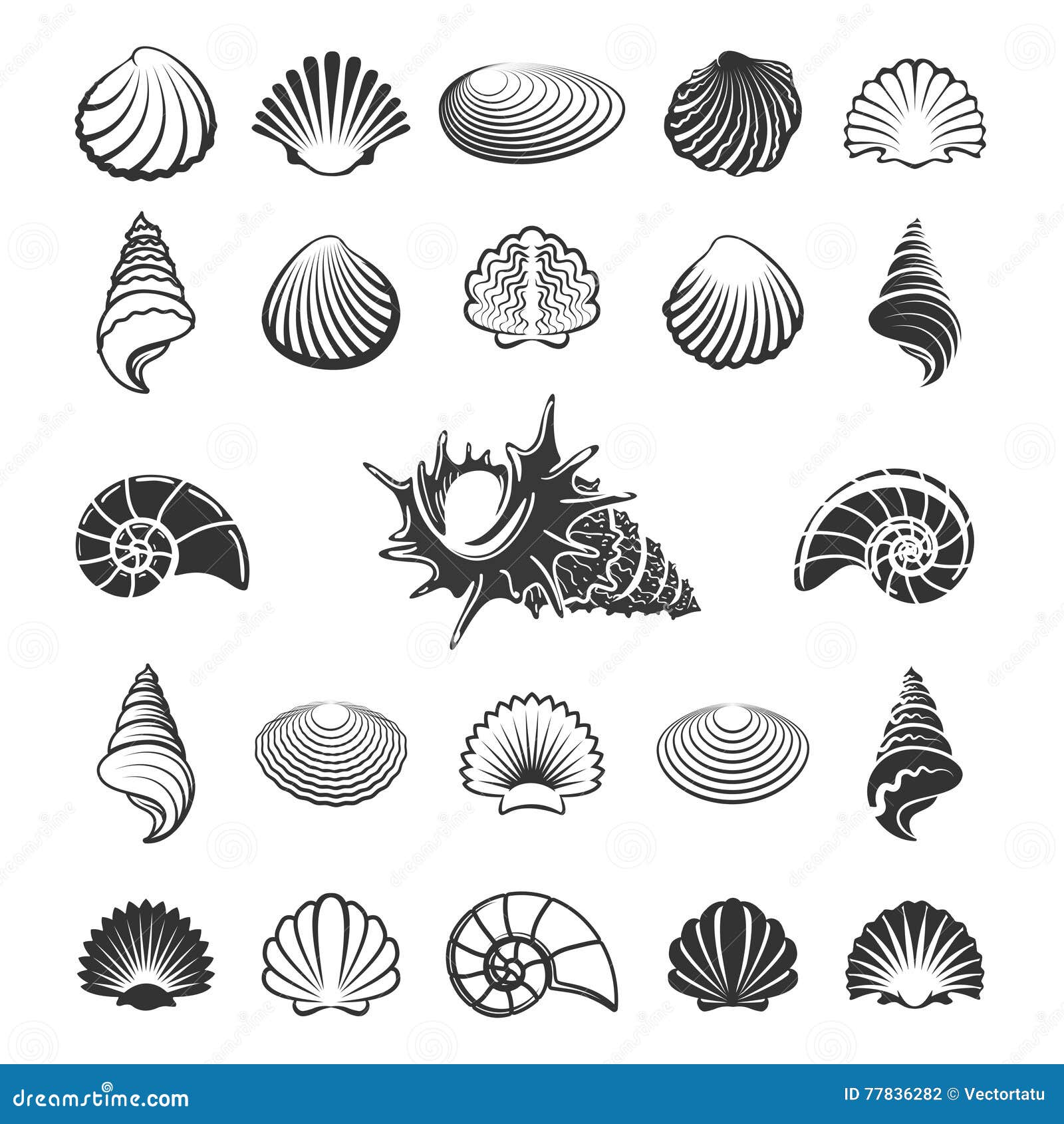 Sea shell silhouettes stock vector. Illustration of cockleshell - 77836282 Sea shell silhouettes stock vector. Illustration of cockleshell - 77836282