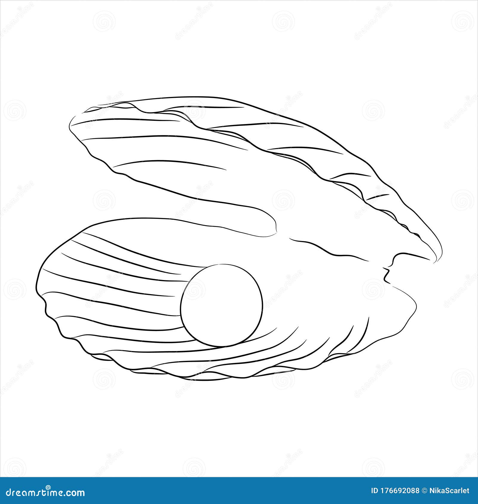 Shell and pearl sketch stock vector. Illustration of graphic - 176692088