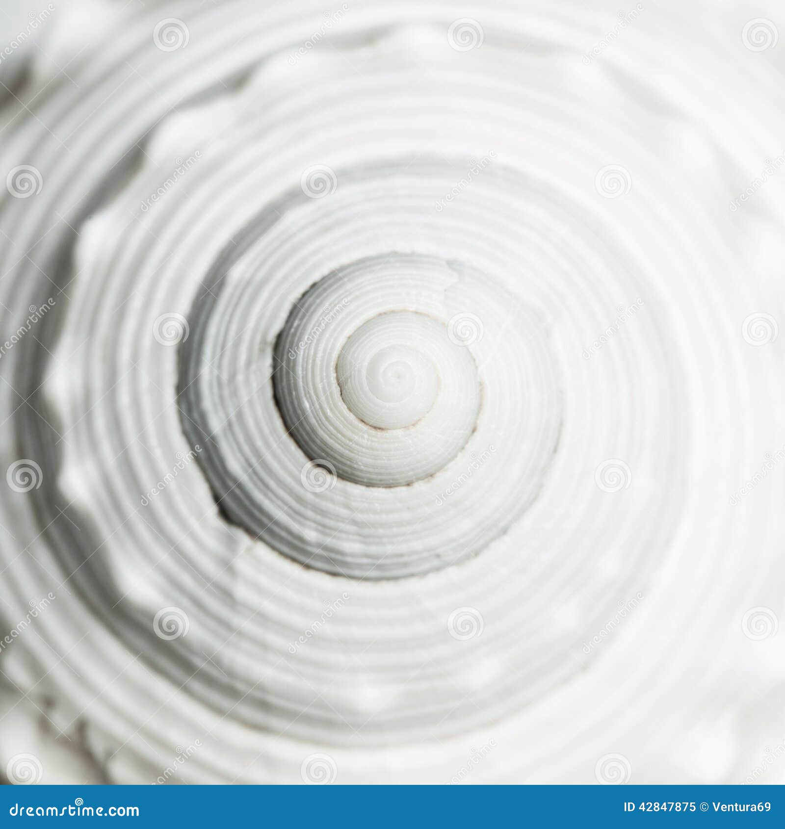Sea shell spiral stock image. Image of nature, geometry - 42847875