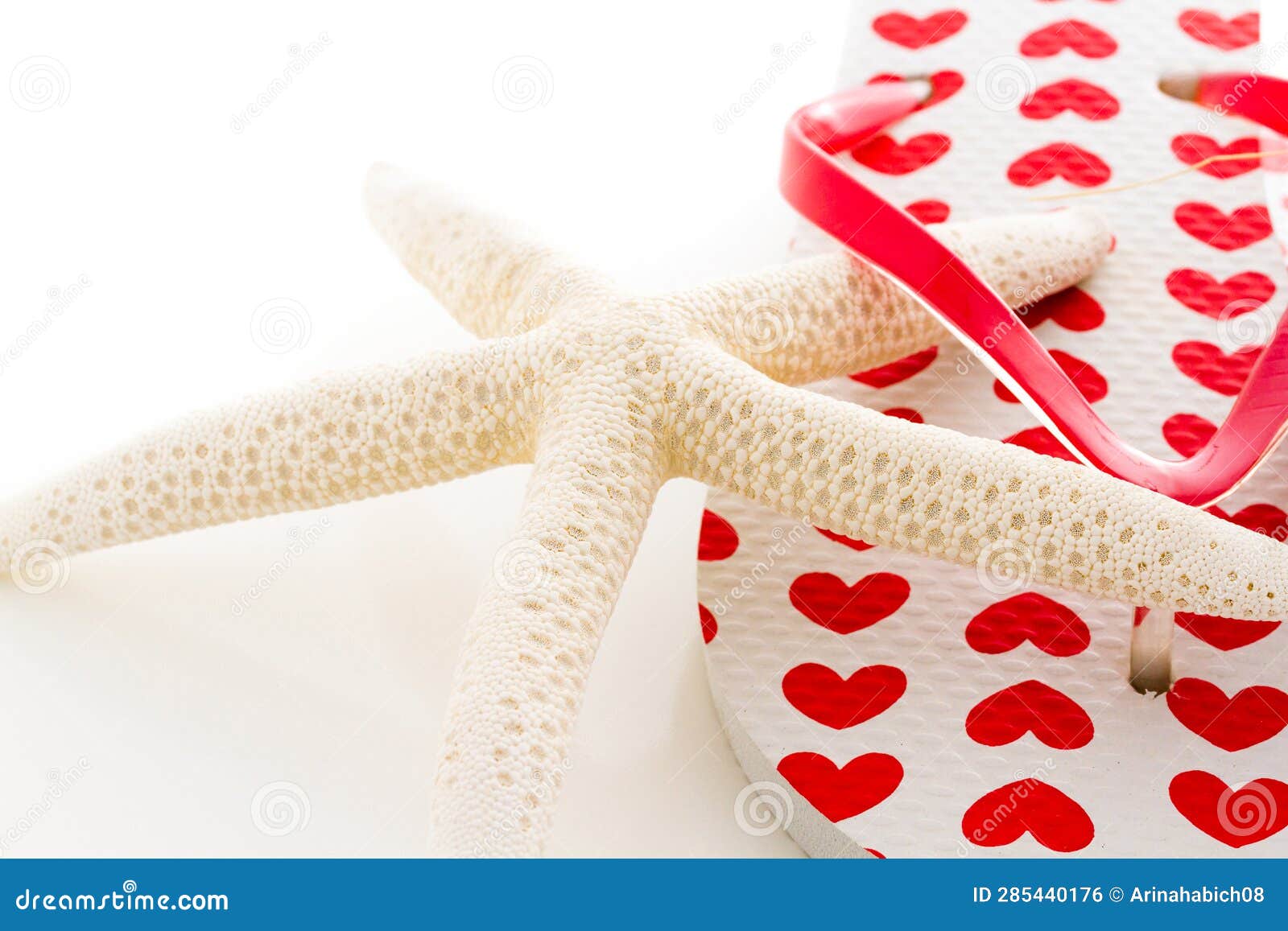 Sea shell stock photo. Image of jandals, heart, starfish - 285440176