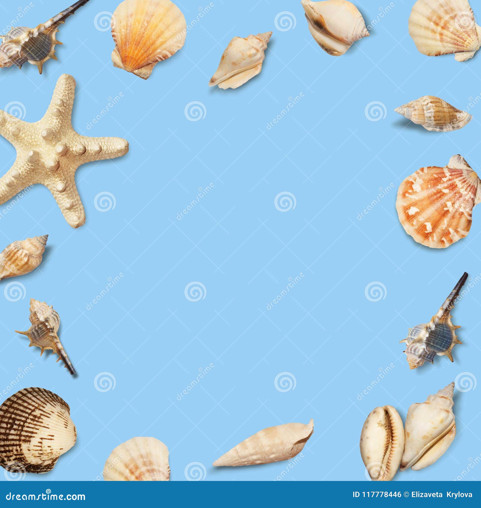 Starfish Frame Royalty-Free Stock Photography | CartoonDealer.com #5352803