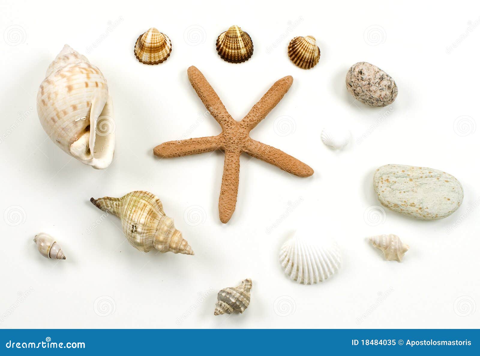 Sea Shell and Stone Collection Stock Image - Image of white, seashell ...