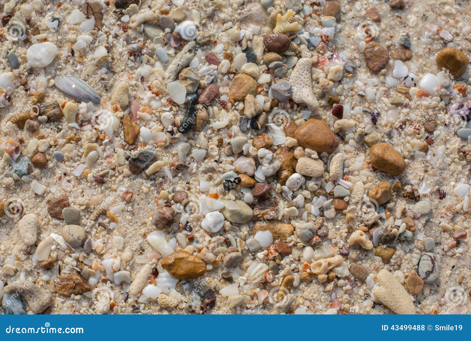 Sea Shell and Stone Pieces Texture Stock Photo - Image of pebble ...