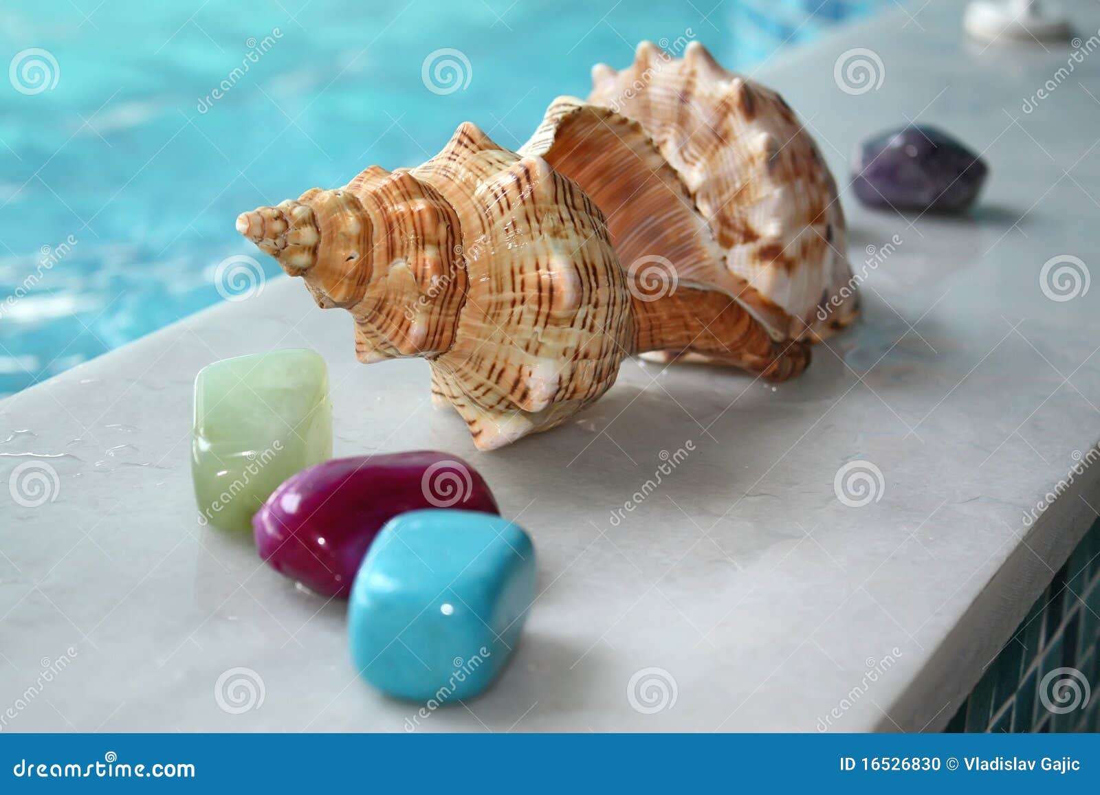 Sea shell and stones stock photo. Image of relaxation - 16526830