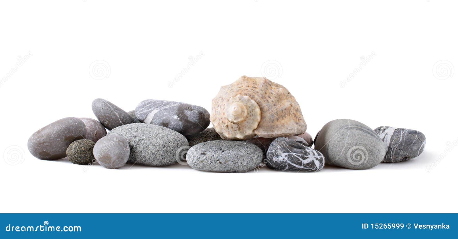 Sea Shell and Stones Collection Stock Image - Image of harmony, nature ...