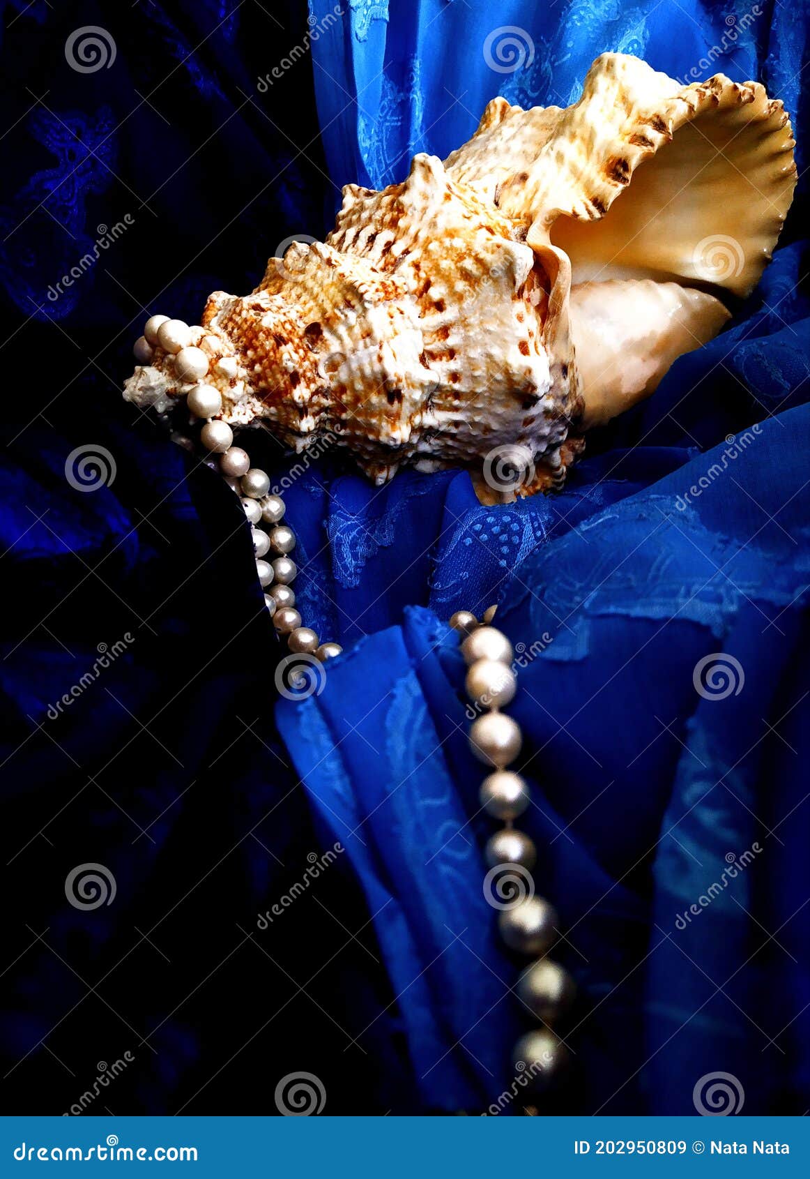 Sea Shell and String of Pearls on Blue Background Stock Image - Image ...