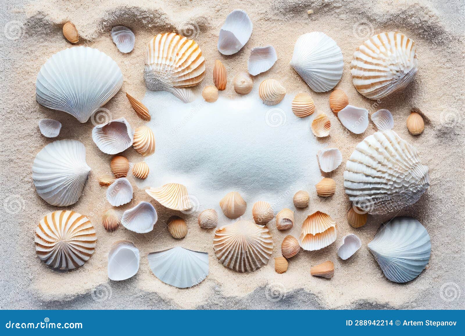 Sea Shell Texture Background, Colorful Seashell Pattern, Sea Shells on ...