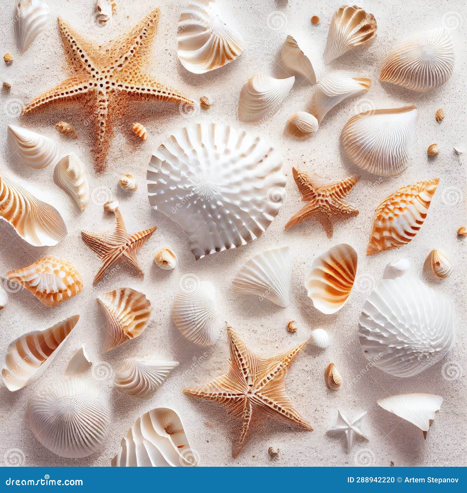 Sea Shell Texture Background, Colorful Seashell Pattern, Sea Shells on ...