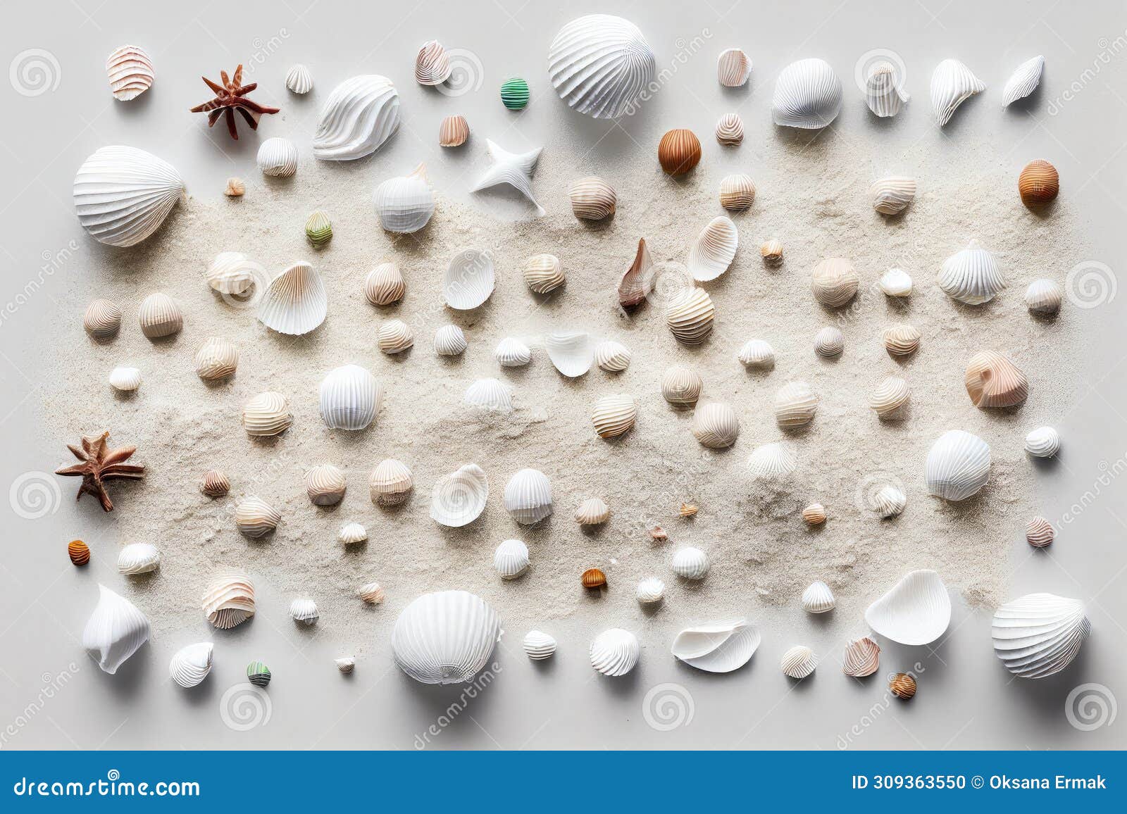 Sea Shell Texture Background, Colorful Seashell Pattern, Sea Shells on ...
