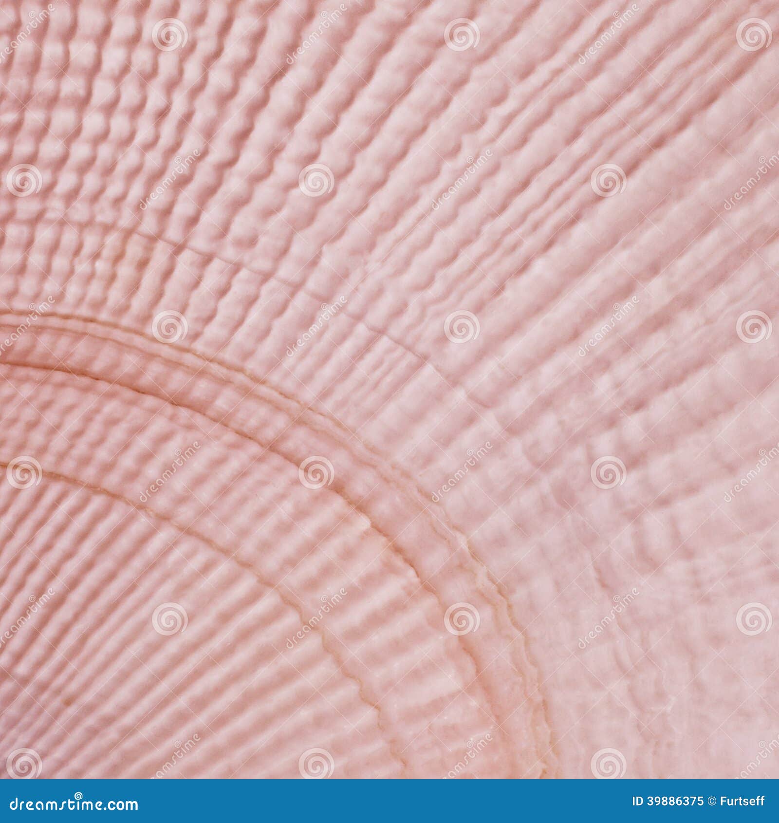 Sea shell texture stock image. Image of abstract, rough - 39886375