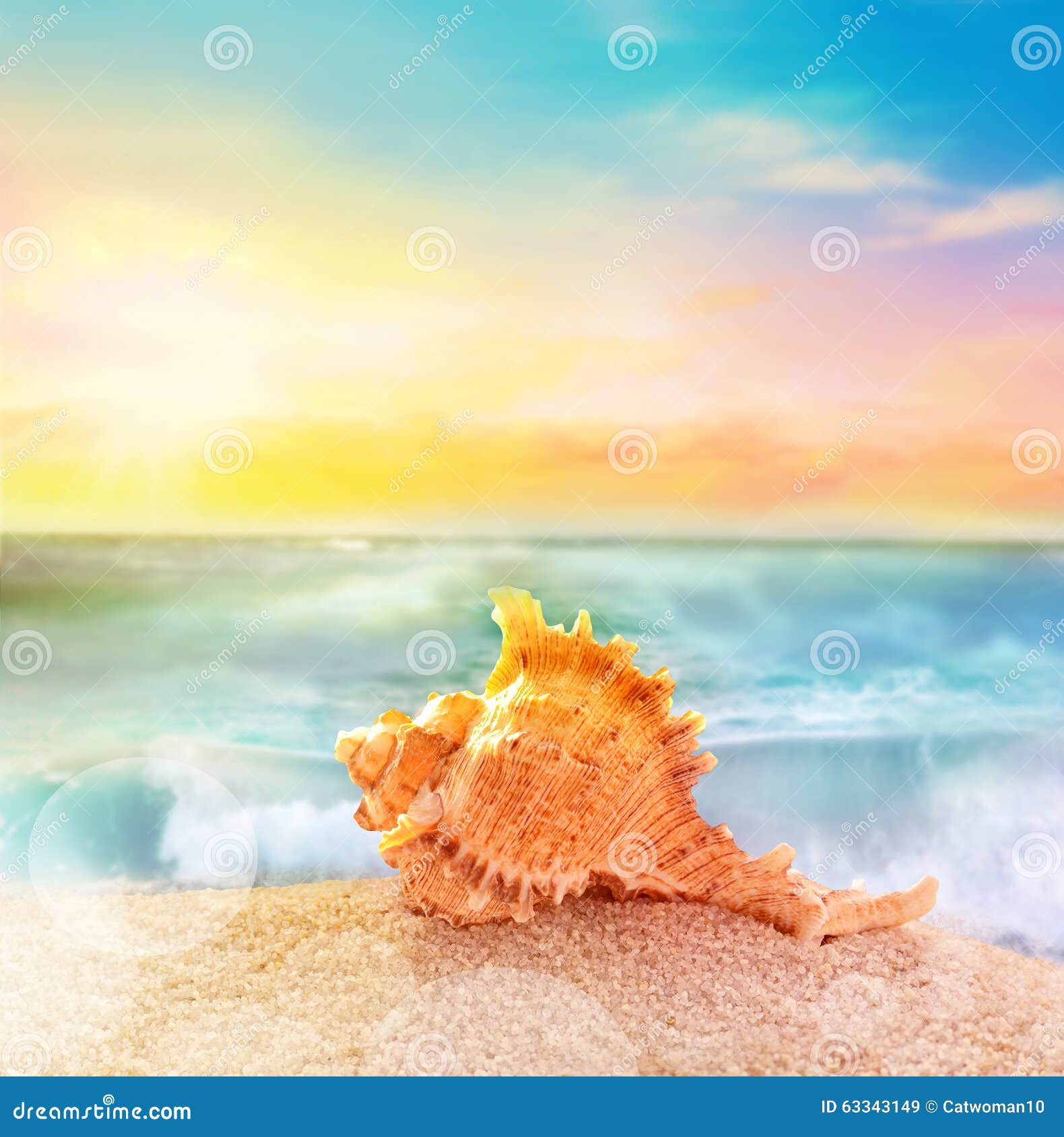 Sea Shell with Thorns on Sea Background Stock Image - Image of close ...