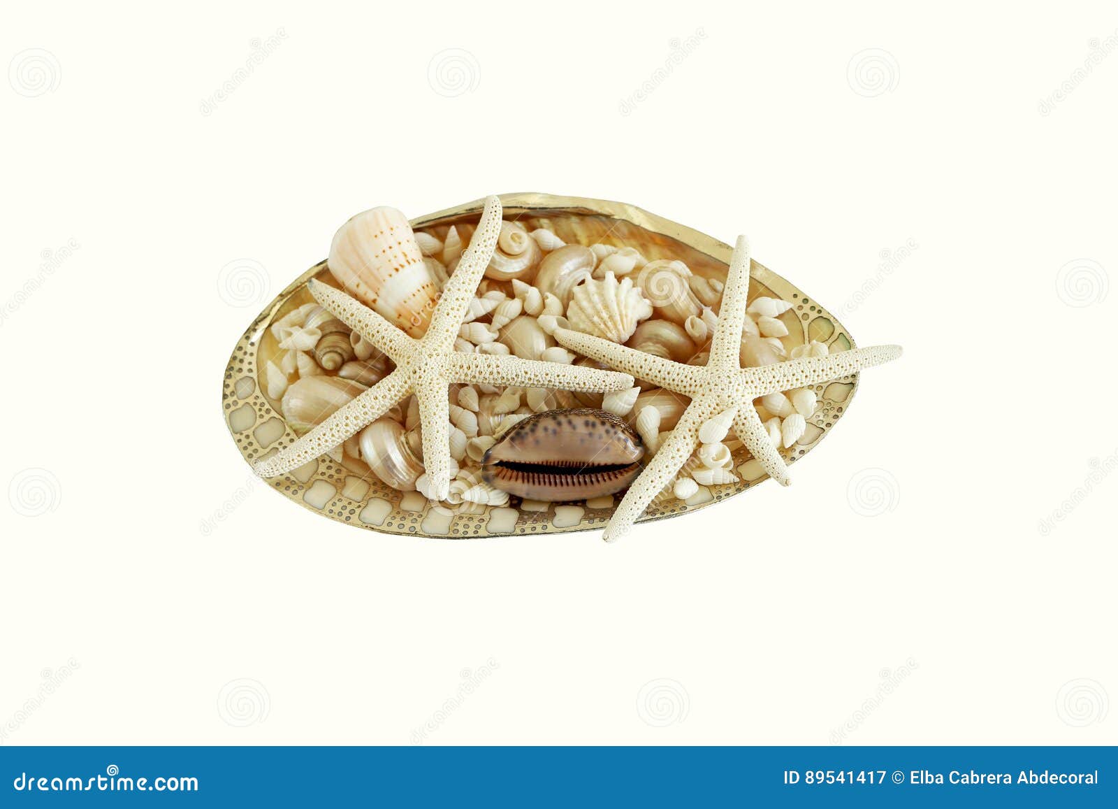 Sea shell tray stock image. Image of silver, nacre, ornament - 89541417