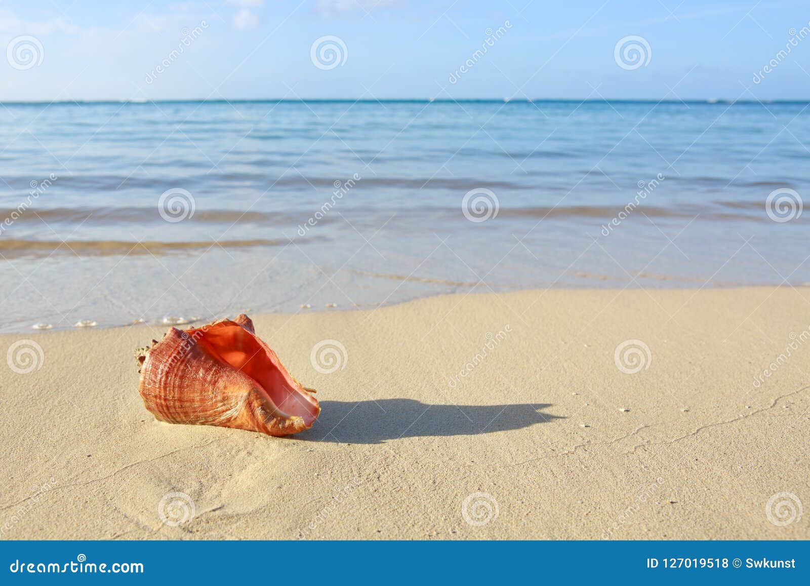 Sea Shell on Tropical Beach. Summer Sea Landscape. Stock Photo - Image ...