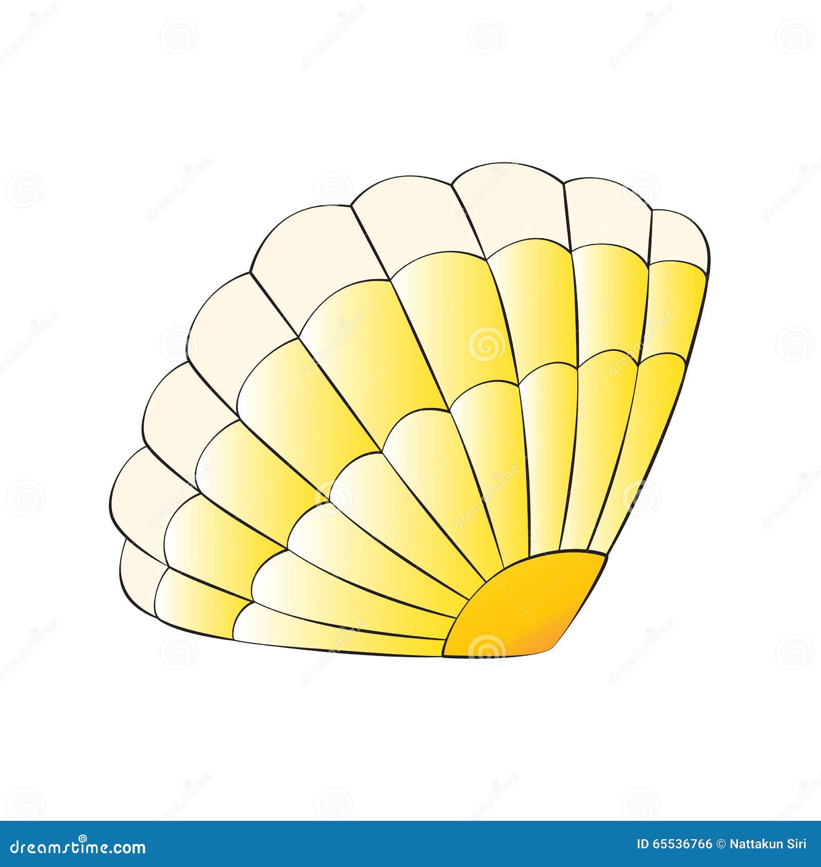 Sea Shell Stock Illustration - Image: 65536766
