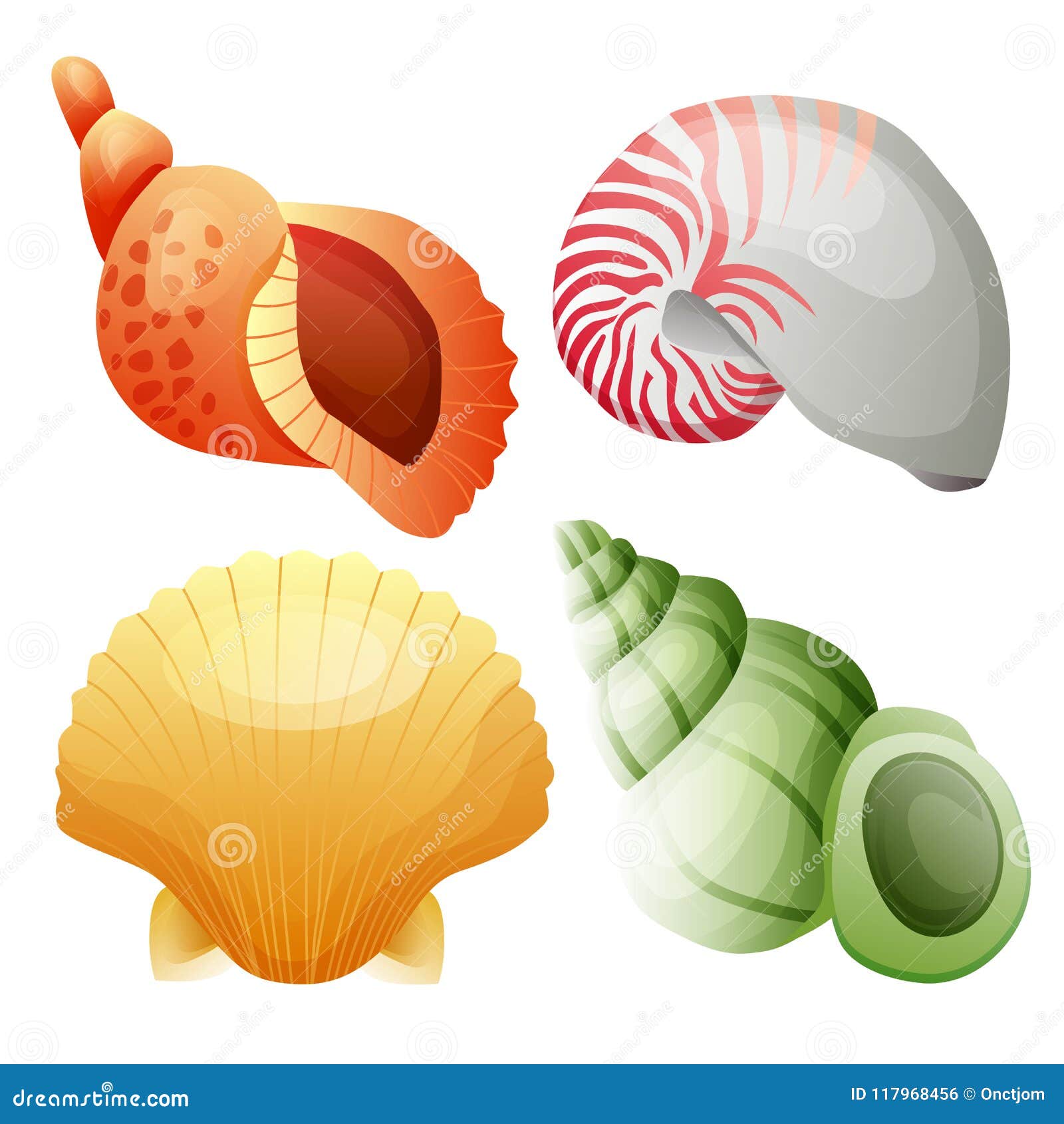 Sea Shell Vector Element Set Stock Vector - Illustration of nature ...