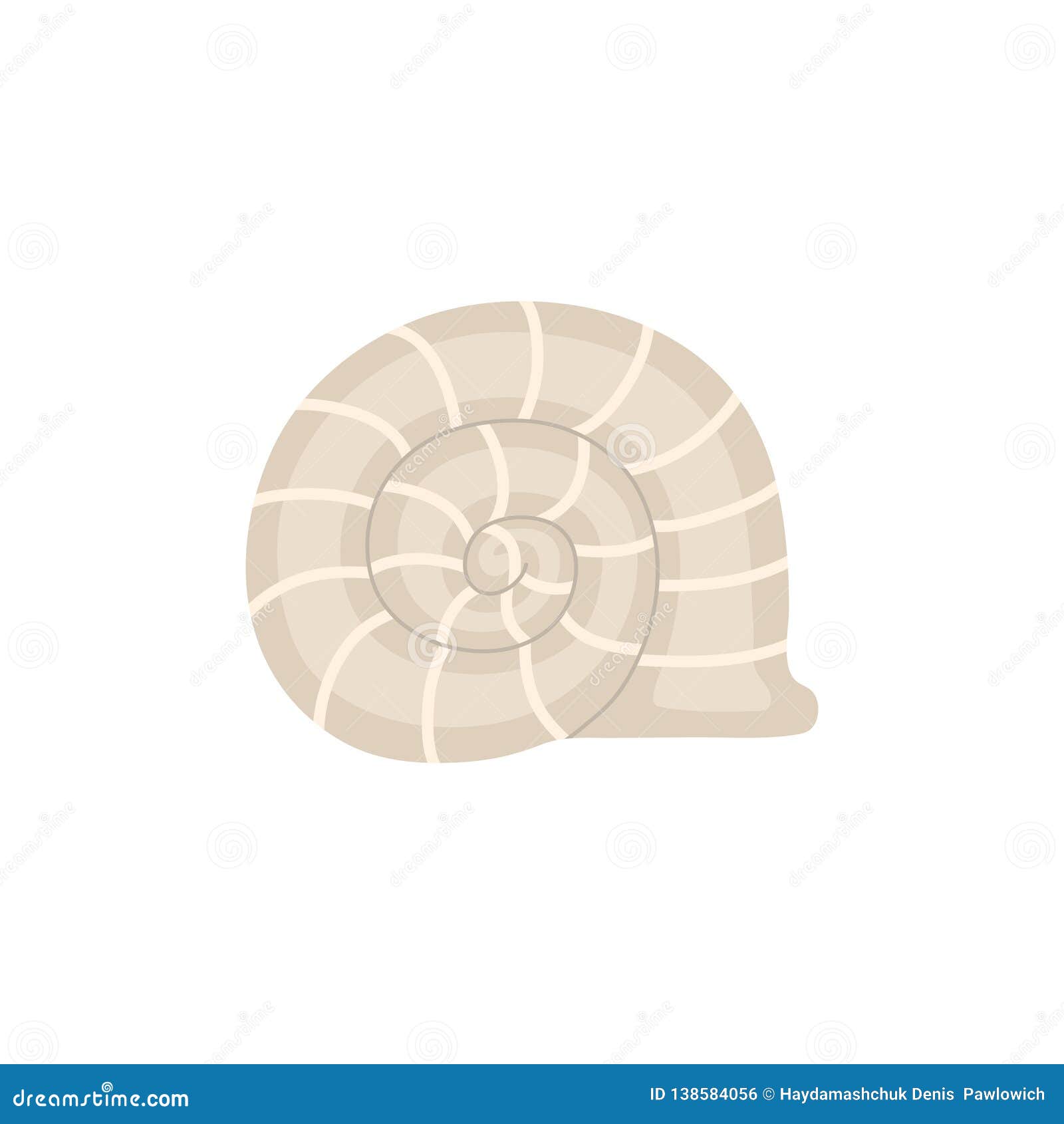 Sea Shell Vector Icon in Cartoon Style. Stock Vector - Illustration of ...