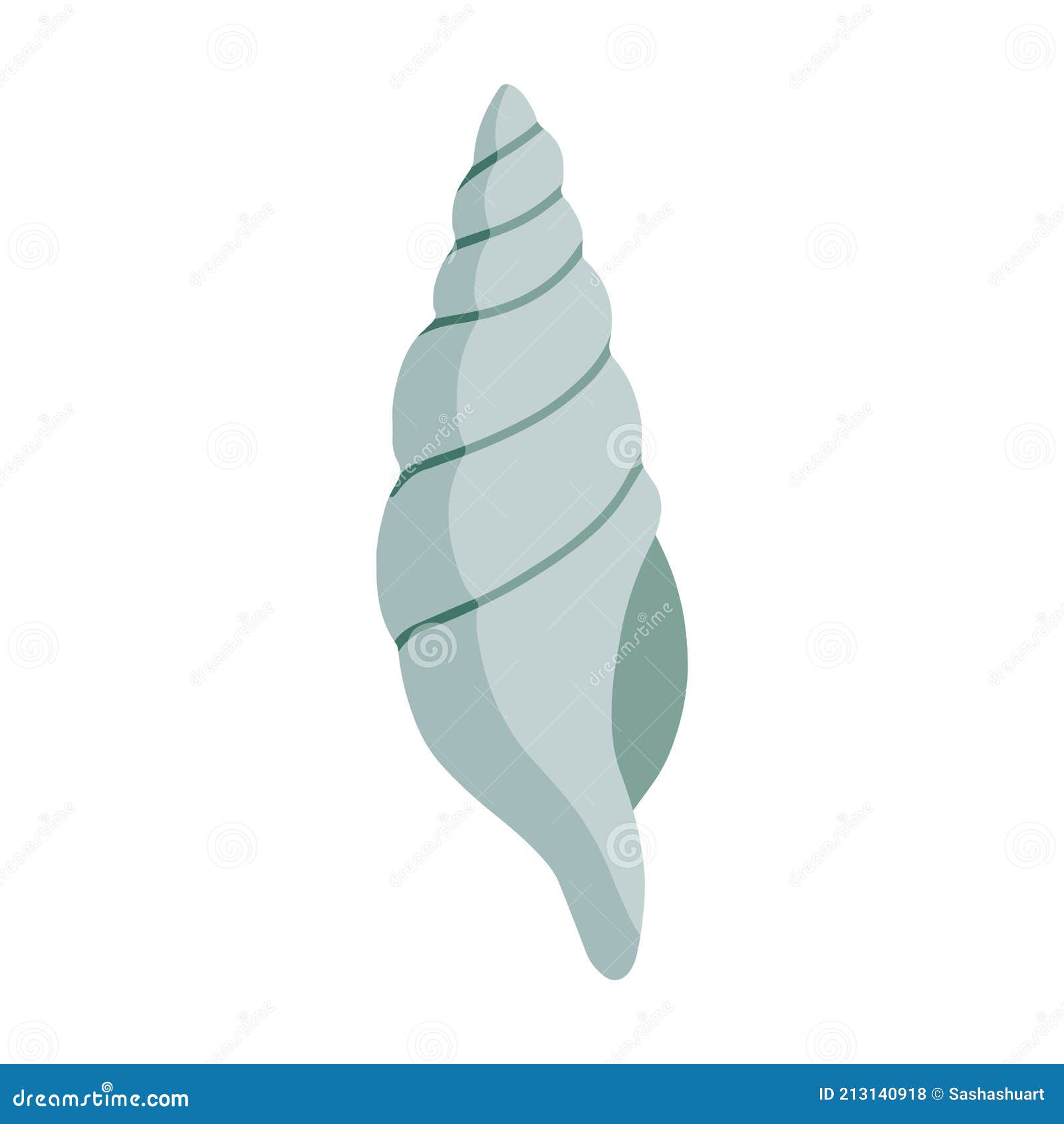 Sea Shell. Vector Illustration. Isolated Object, Element on a White ...