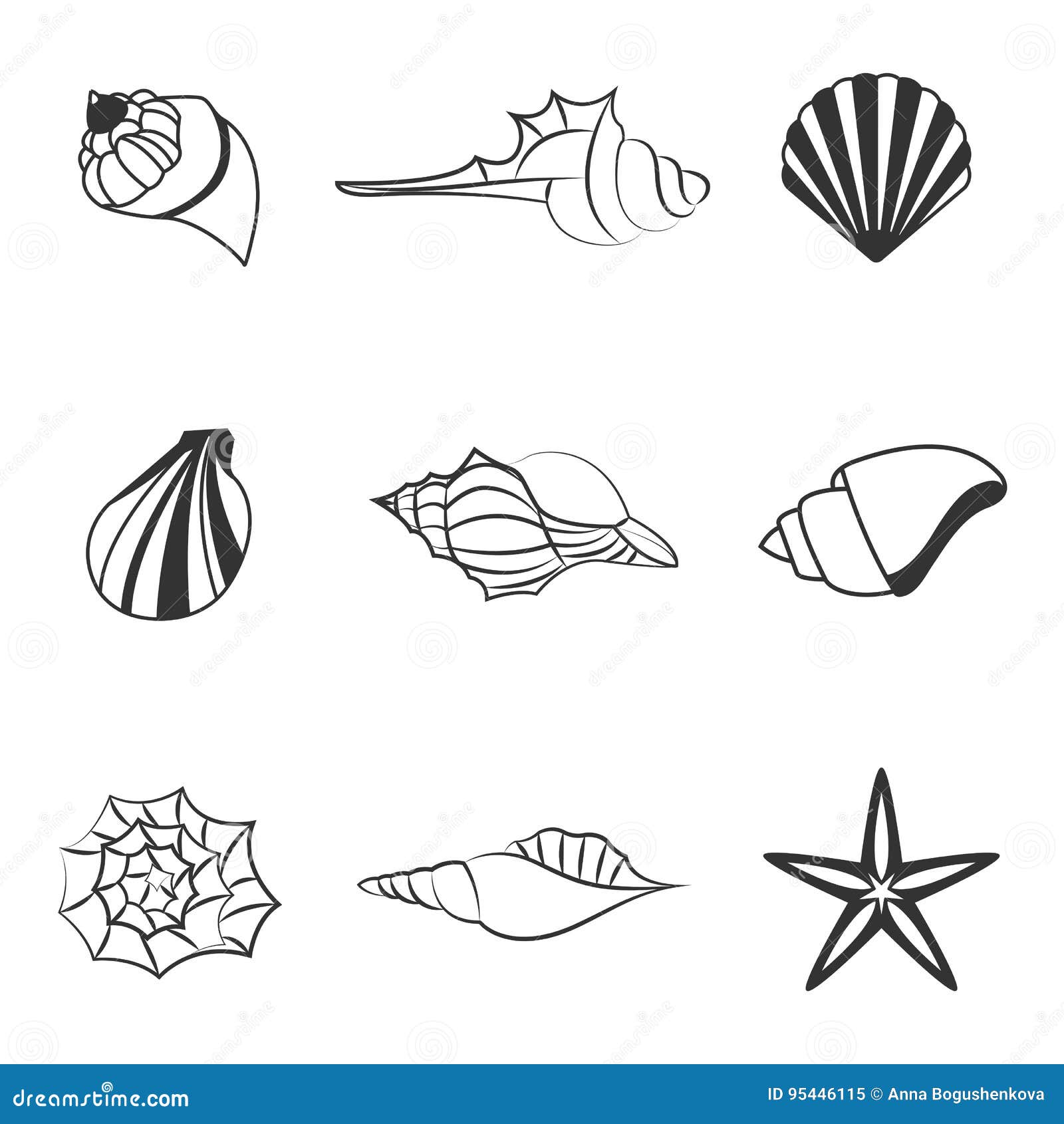 Sea Shell Vector Illustration of Line Silhouettes Stock Vector ...