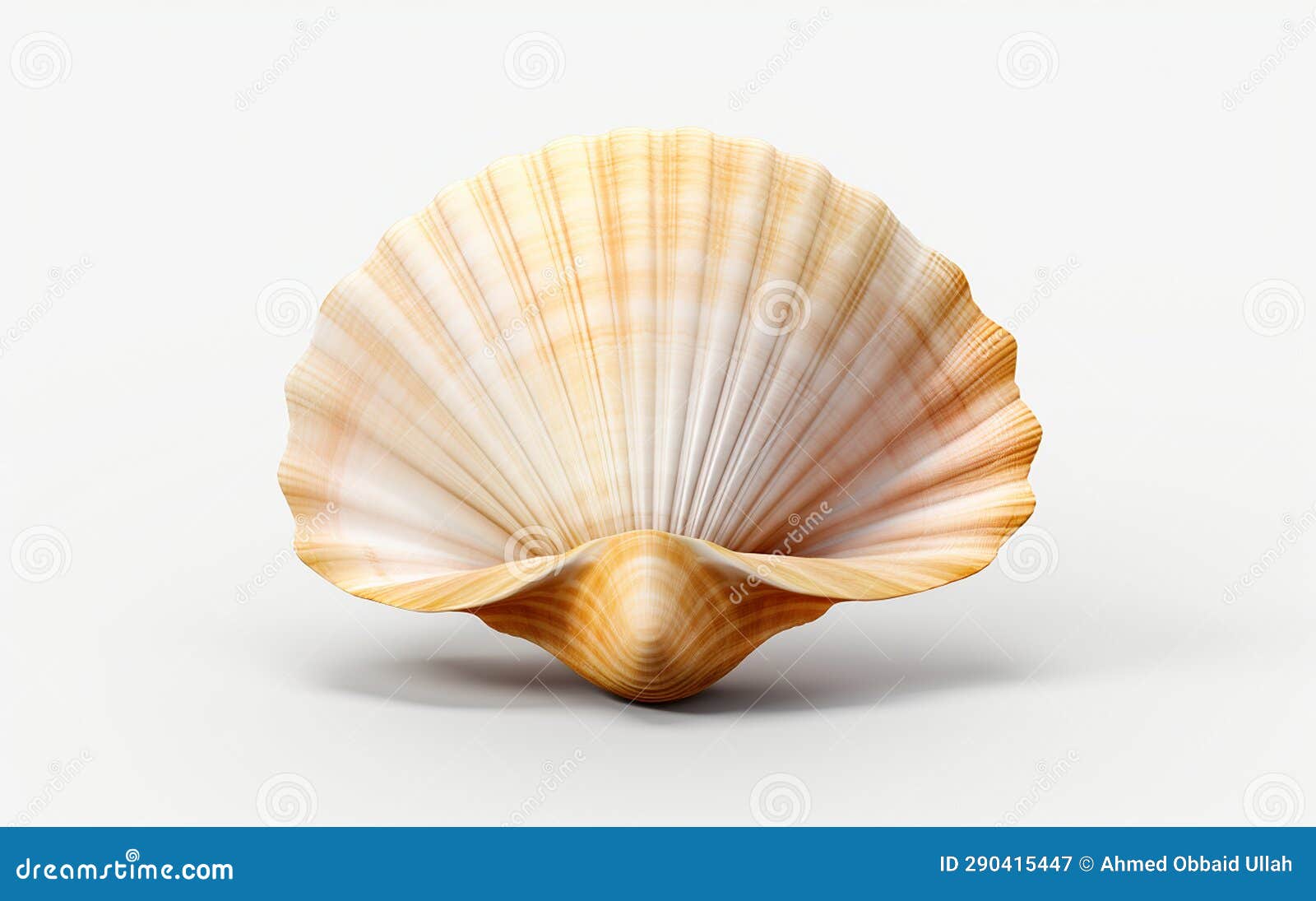 A Sea Shell on a White Background. Generative by Ai Stock Illustration ...