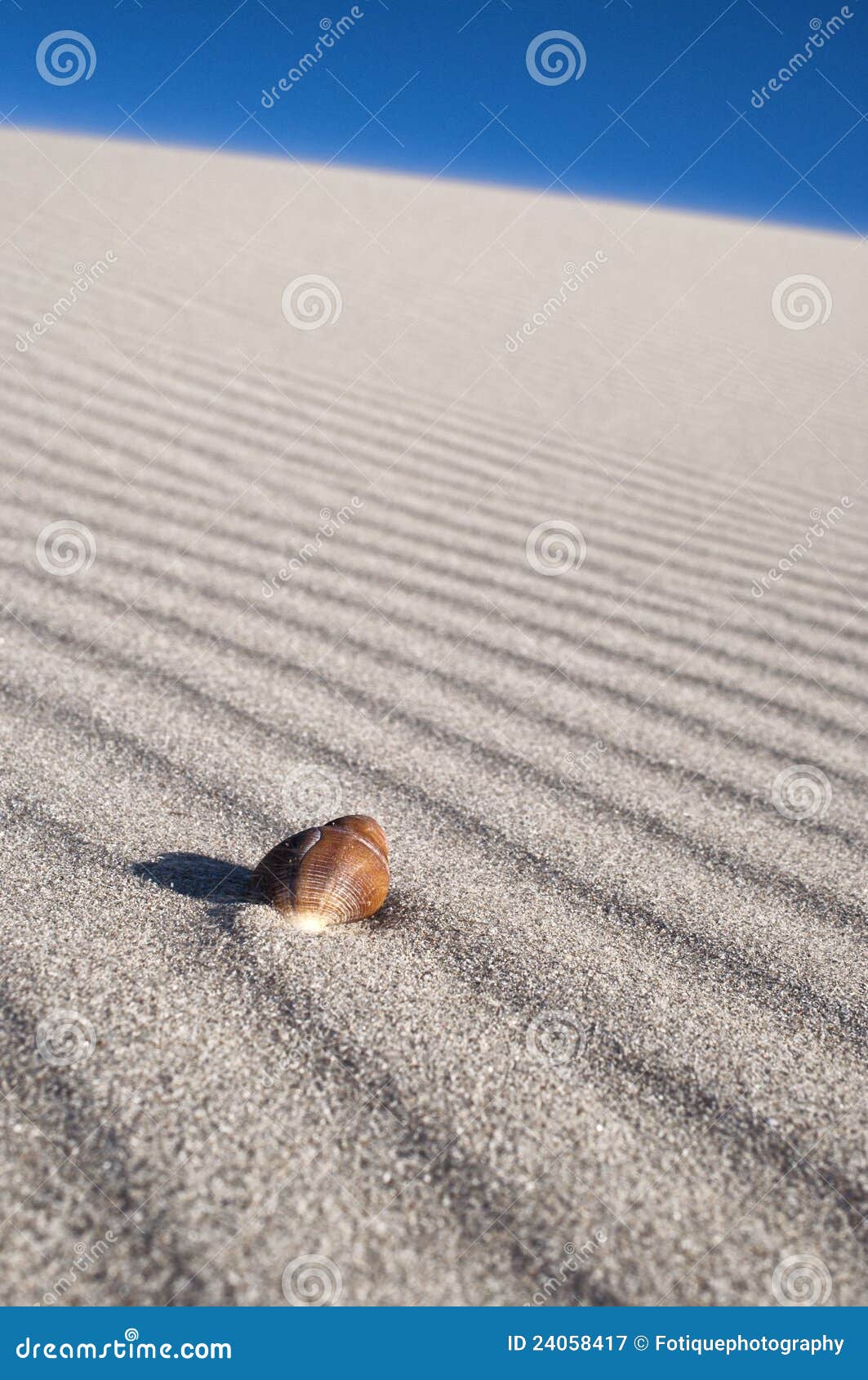 Sand Lines - Vertical Stock Photo | CartoonDealer.com #4035516