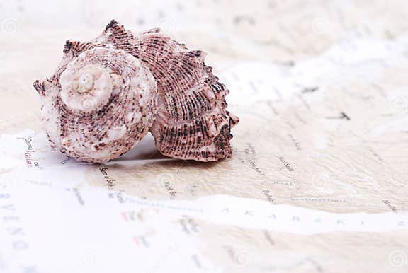 Sea shell on the world map stock image. Image of nature - 14348623