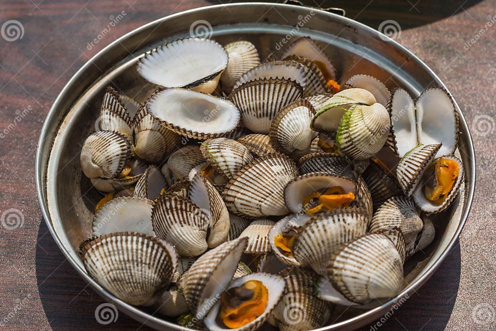 Sea Shellfish Cooked at a Campfire on the Beach Stock Image - Image of ...