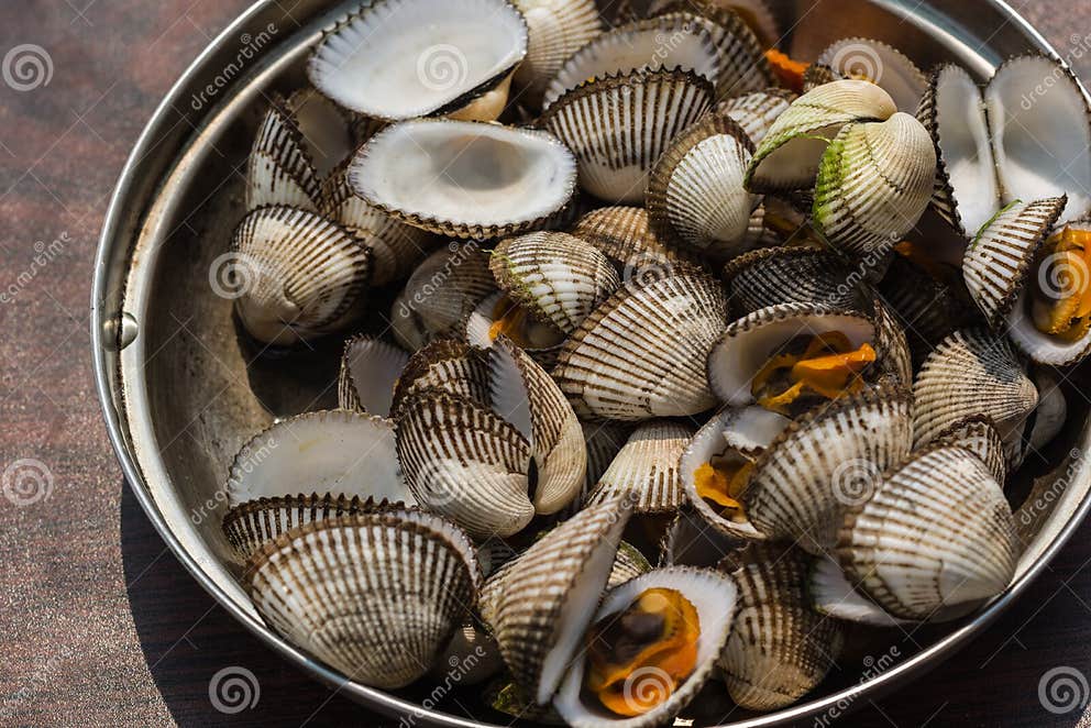 Sea Shellfish Cooked at a Campfire on the Beach Stock Image - Image of ...