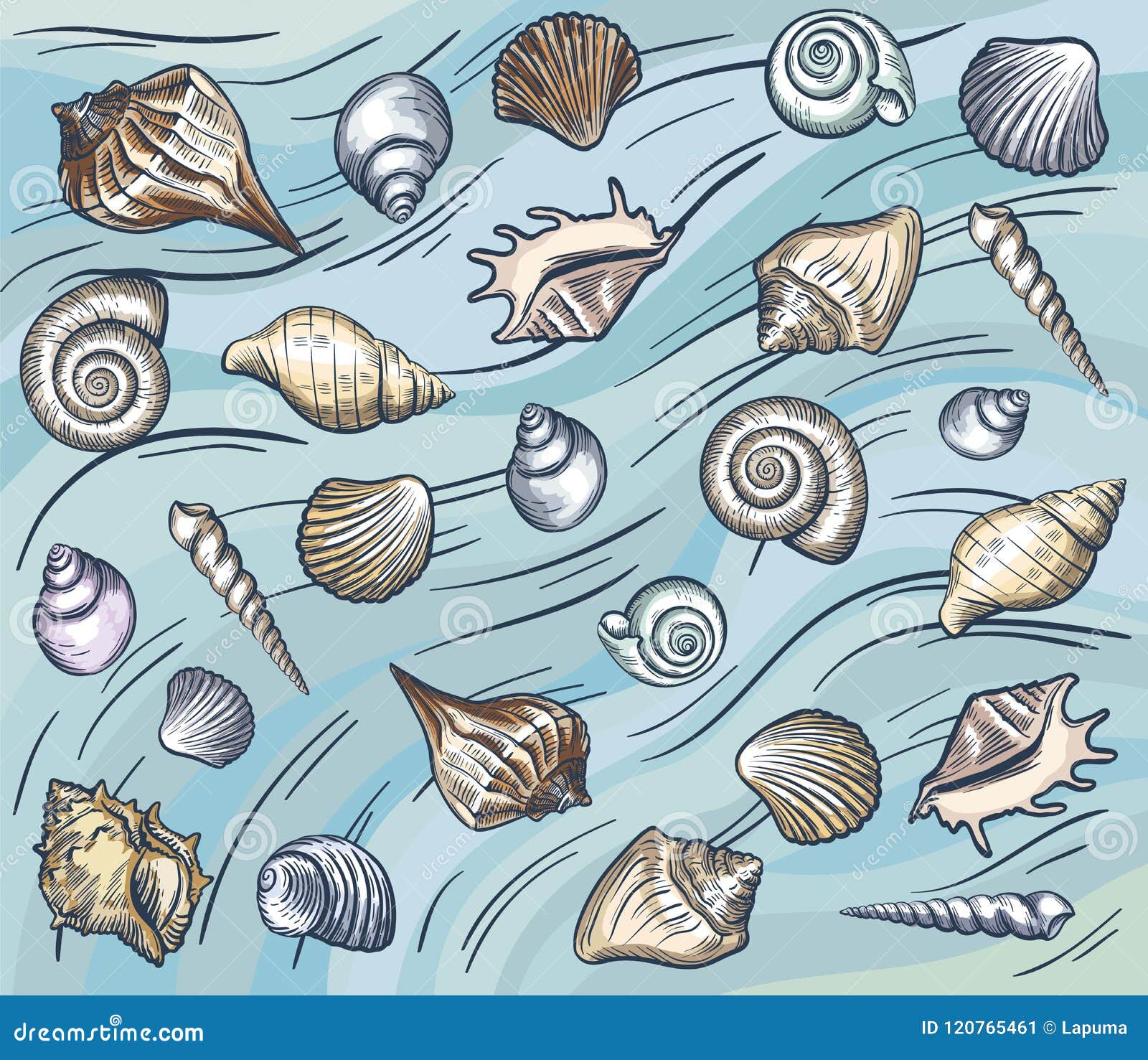 Sea Shellfish and Seashells. Vector Illustration Stock Vector ...
