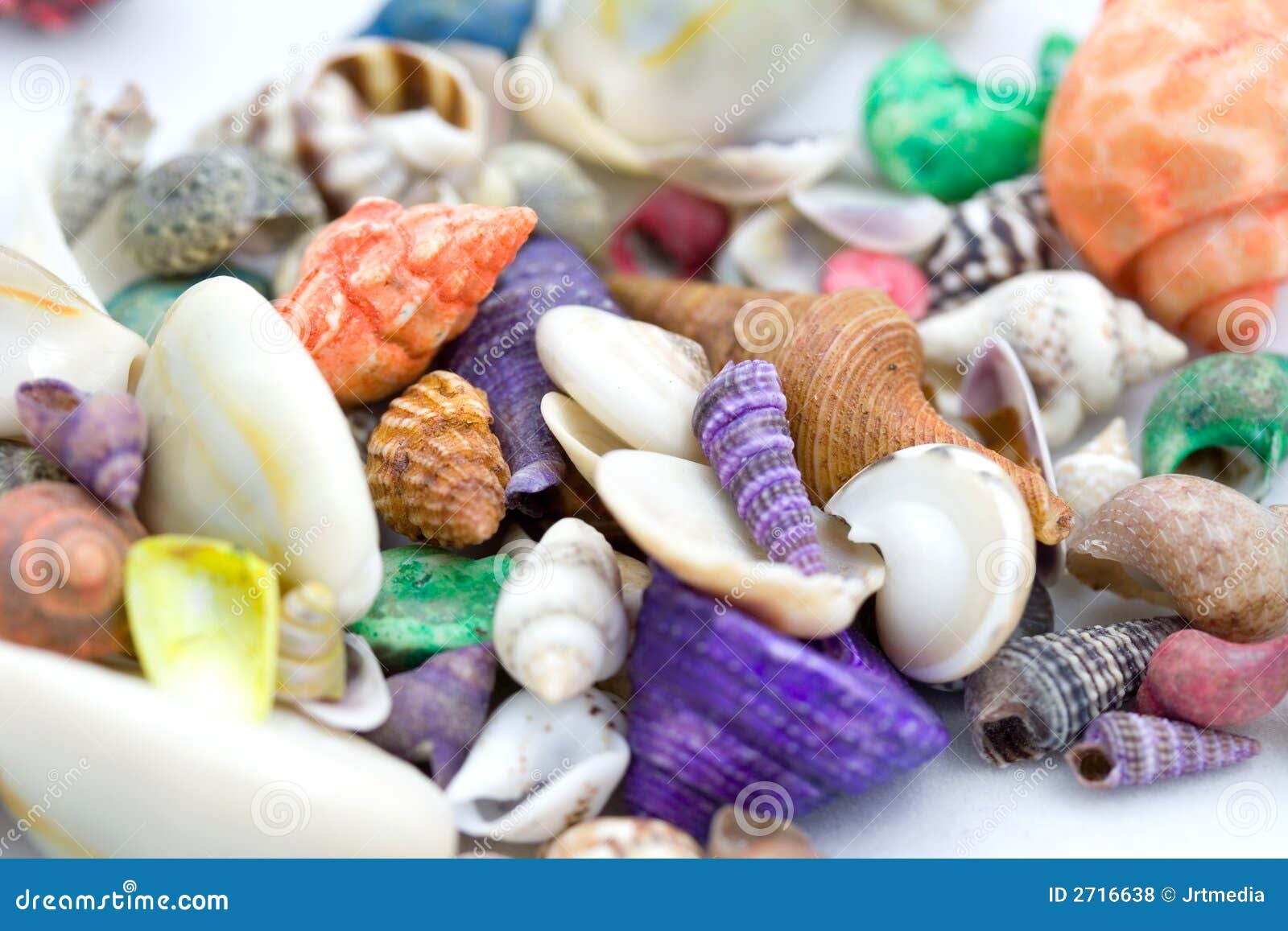 Sea Shells stock photo. Image of fragile, pile, close - 2716638