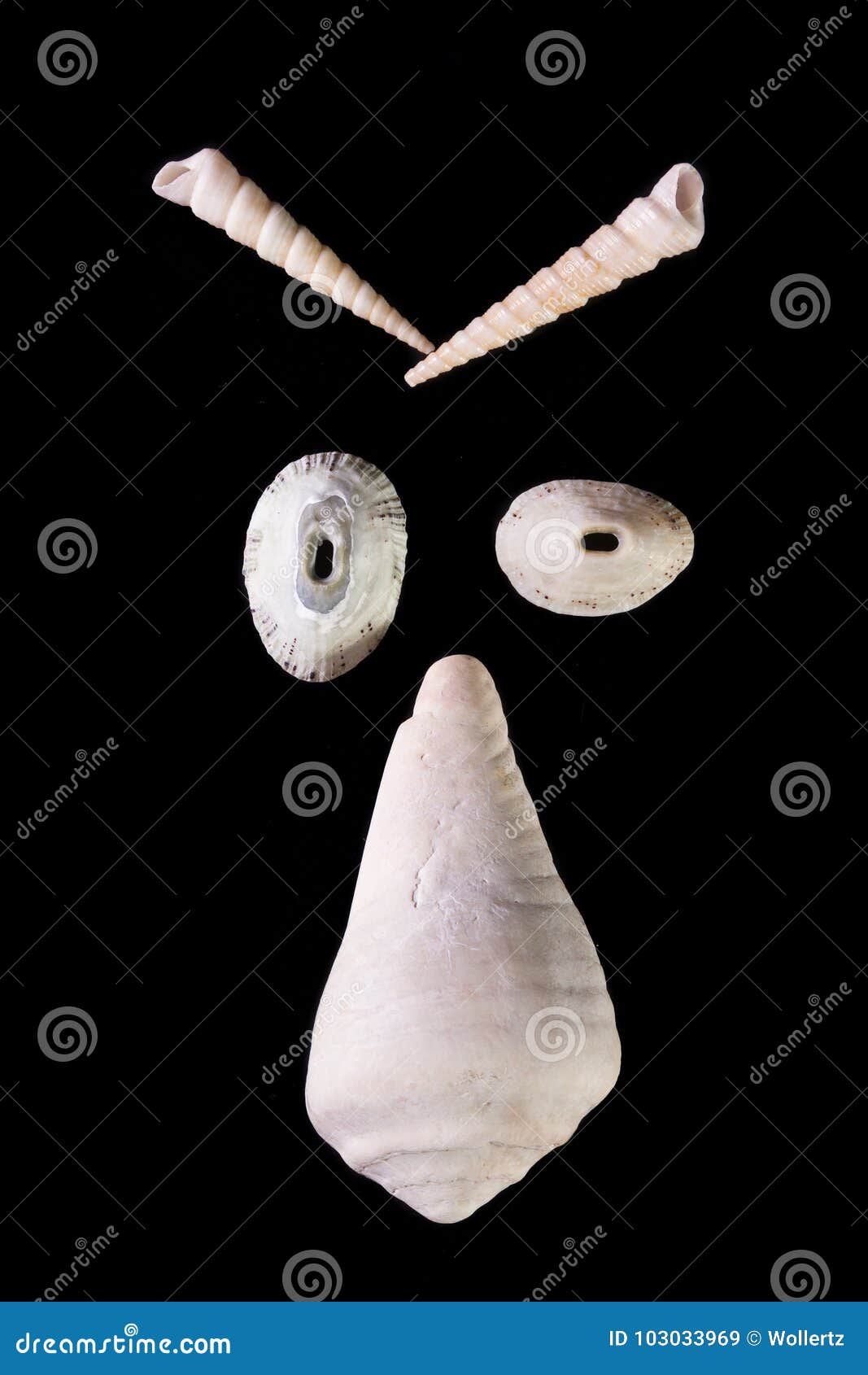 Sea shell faces stock image. Image of allowing, mouth - 103033969