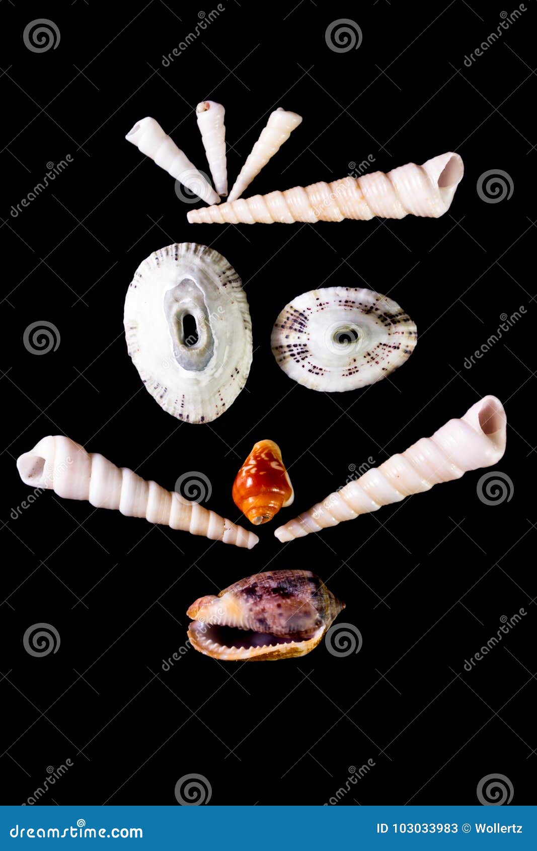Sea shell faces stock image. Image of range, face, destination - 103033983