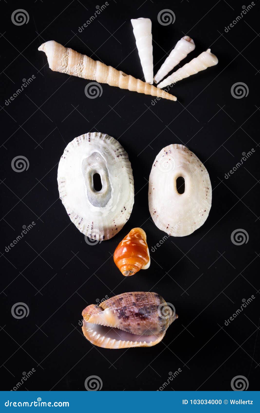 Sea shell faces stock photo. Image of emotion, isolated - 103034000