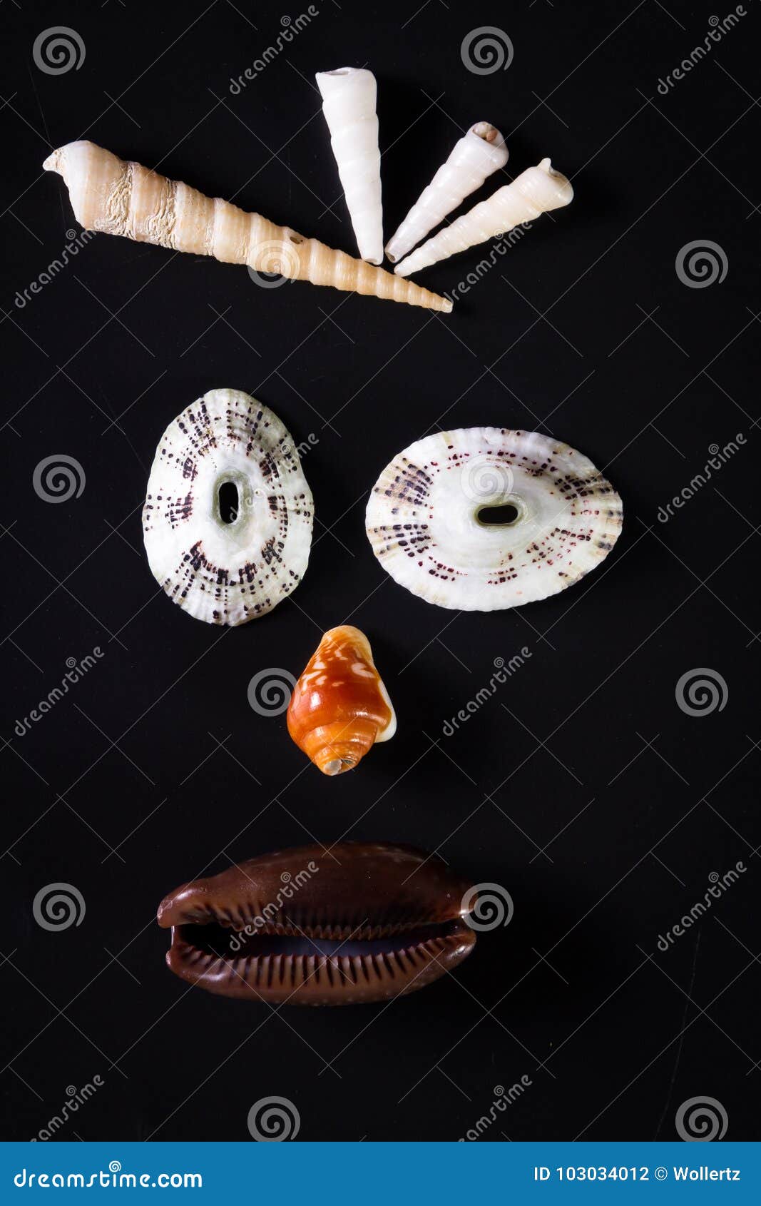 Sea shell faces stock photo. Image of feeling, isolated - 103034012