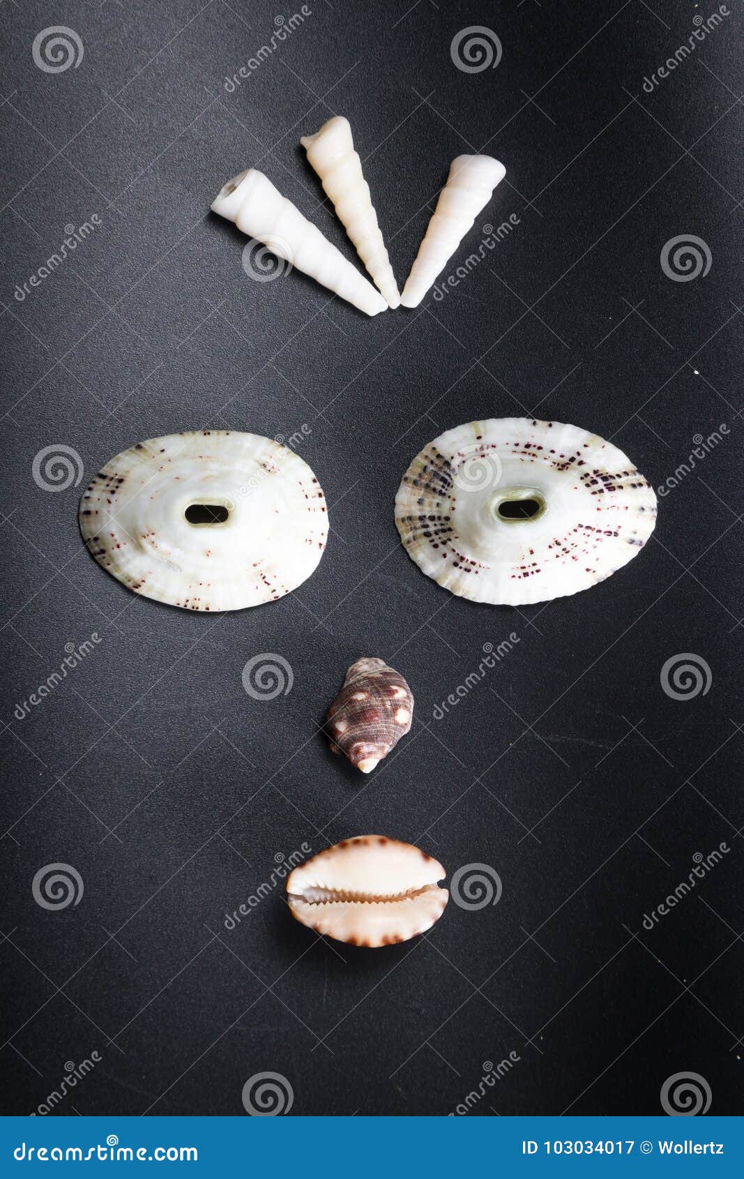 Sea shell faces stock image. Image of allowing, personality - 103034017