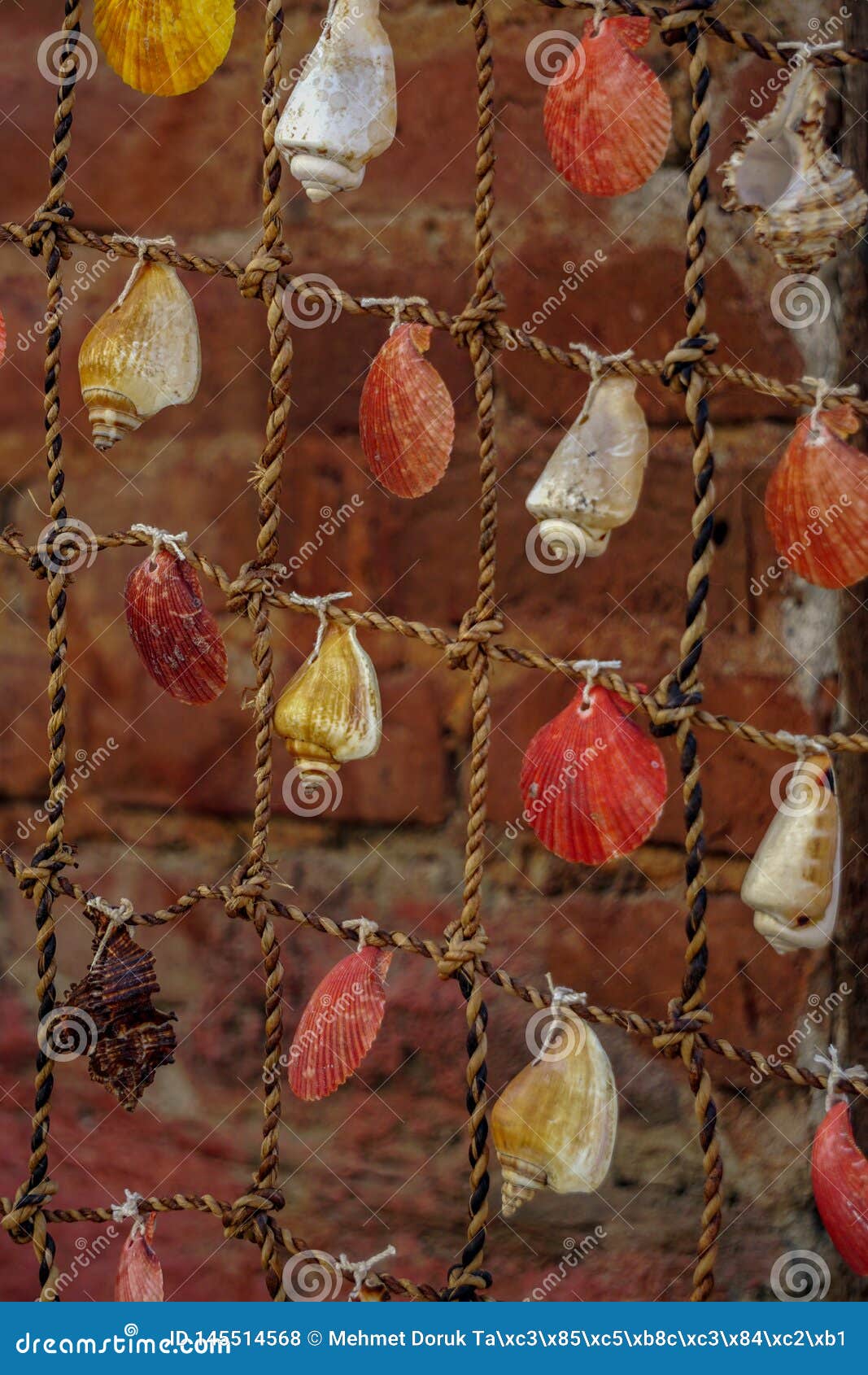 Sea Shells Attached on the Fishing Net Texture Template Background ...