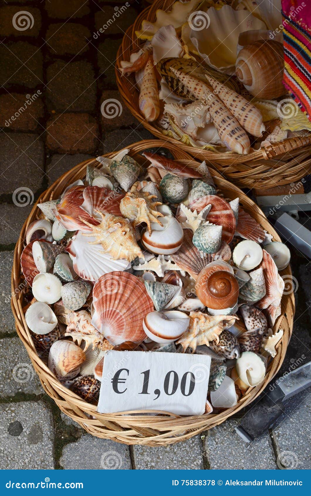 Sea shells in a basket stock photo. Image of choice, colorful - 75838378