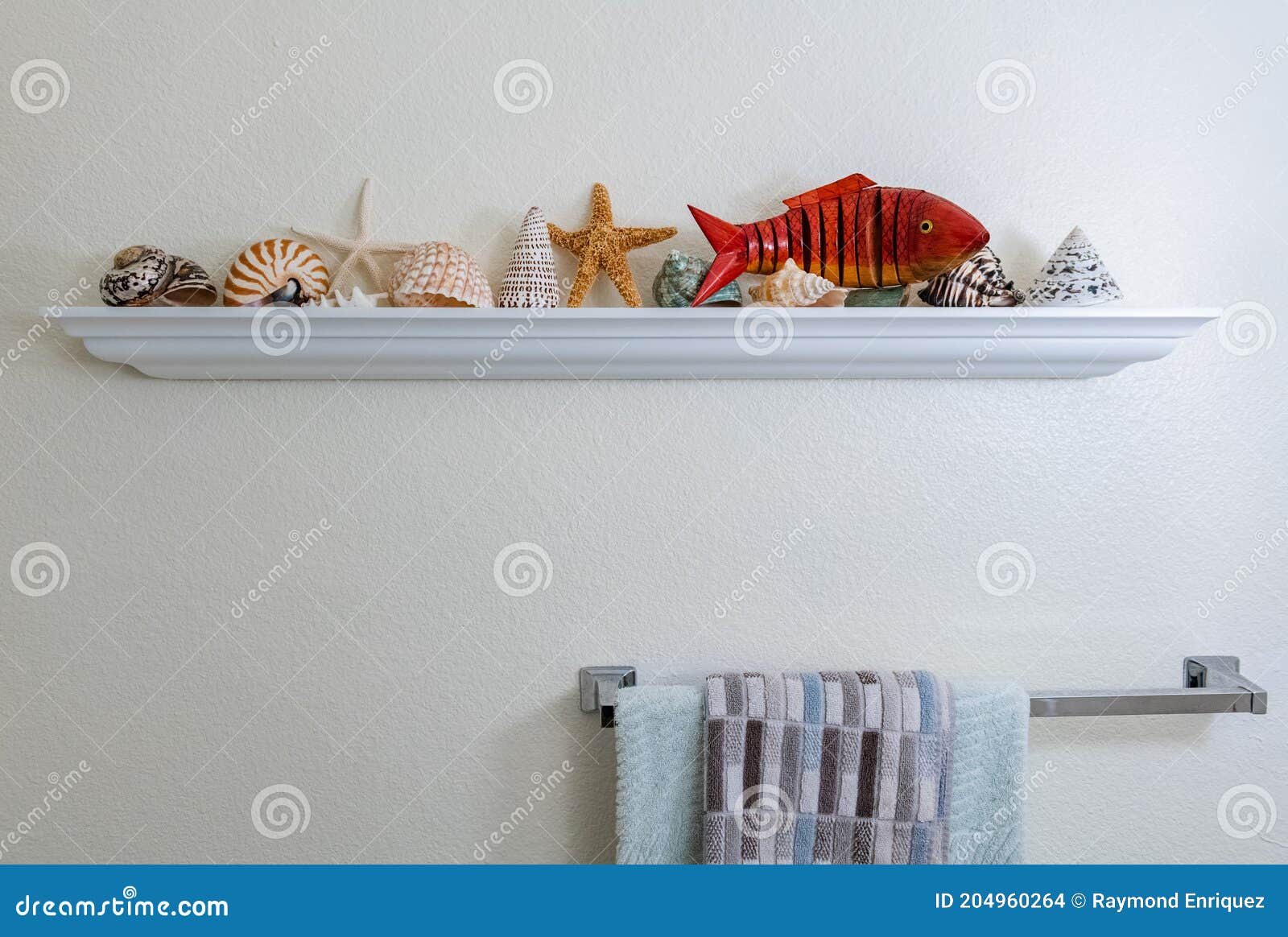Sea Shells on Bathroom Shelf Stock Photo - Image of shelf, decor: 204960264