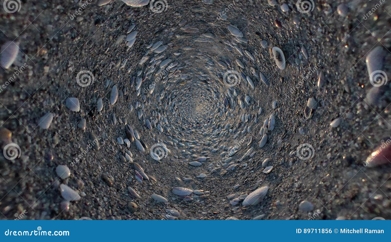 Sea Shells on Beach Circular Tunnel Stock Photo - Image of ground ...