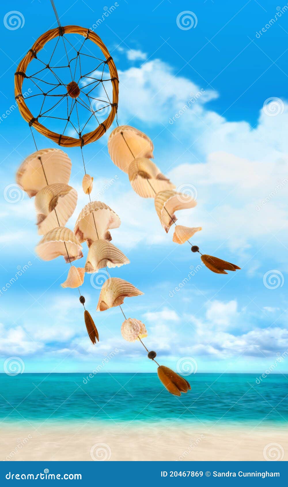 Sea Shells Blowing in the Wind Stock Image - Image of scallop, summer ...