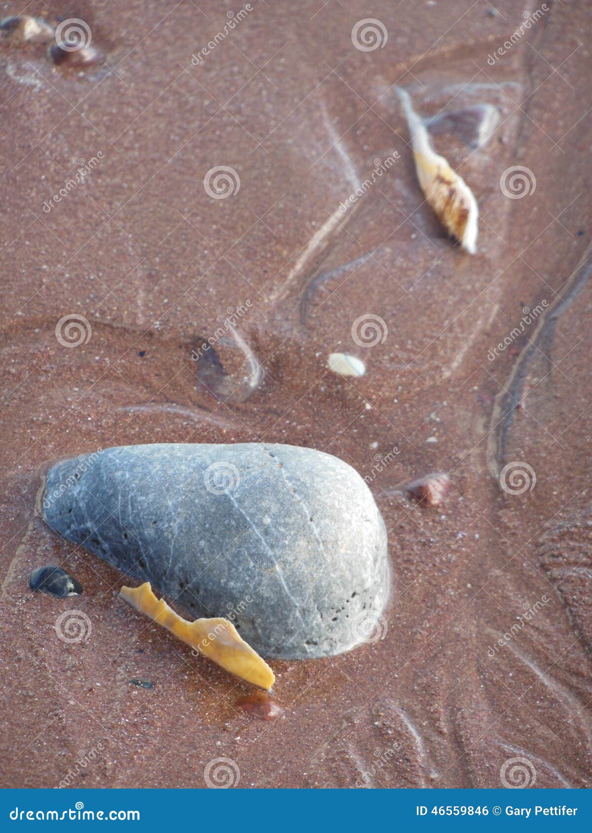 Sea Shells and Blue Rock on the Sand Stock Photo - Image of next, beach ...