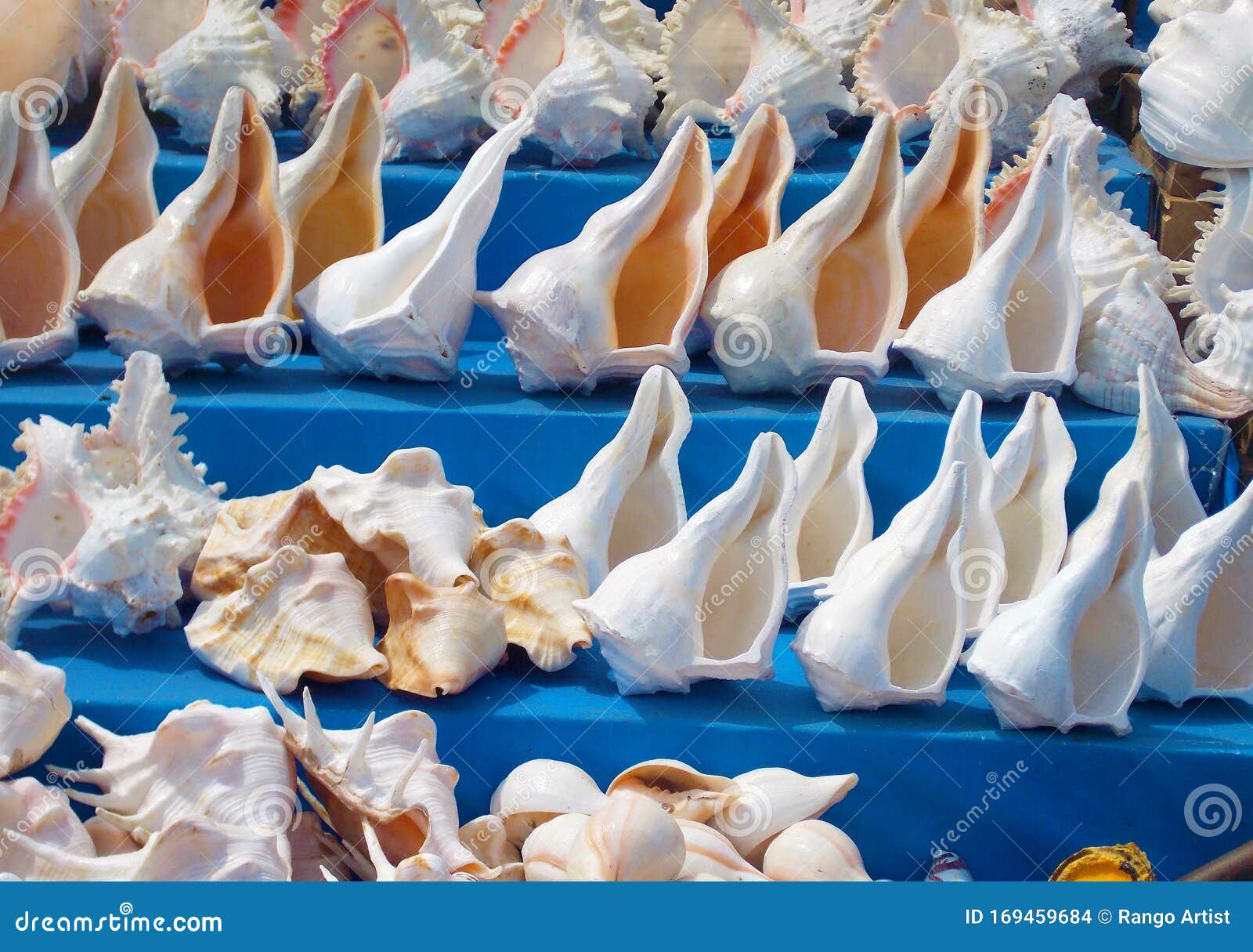 Sea Shells on Blue Sheets Selling on Shop Stock Photo - Image of shells ...