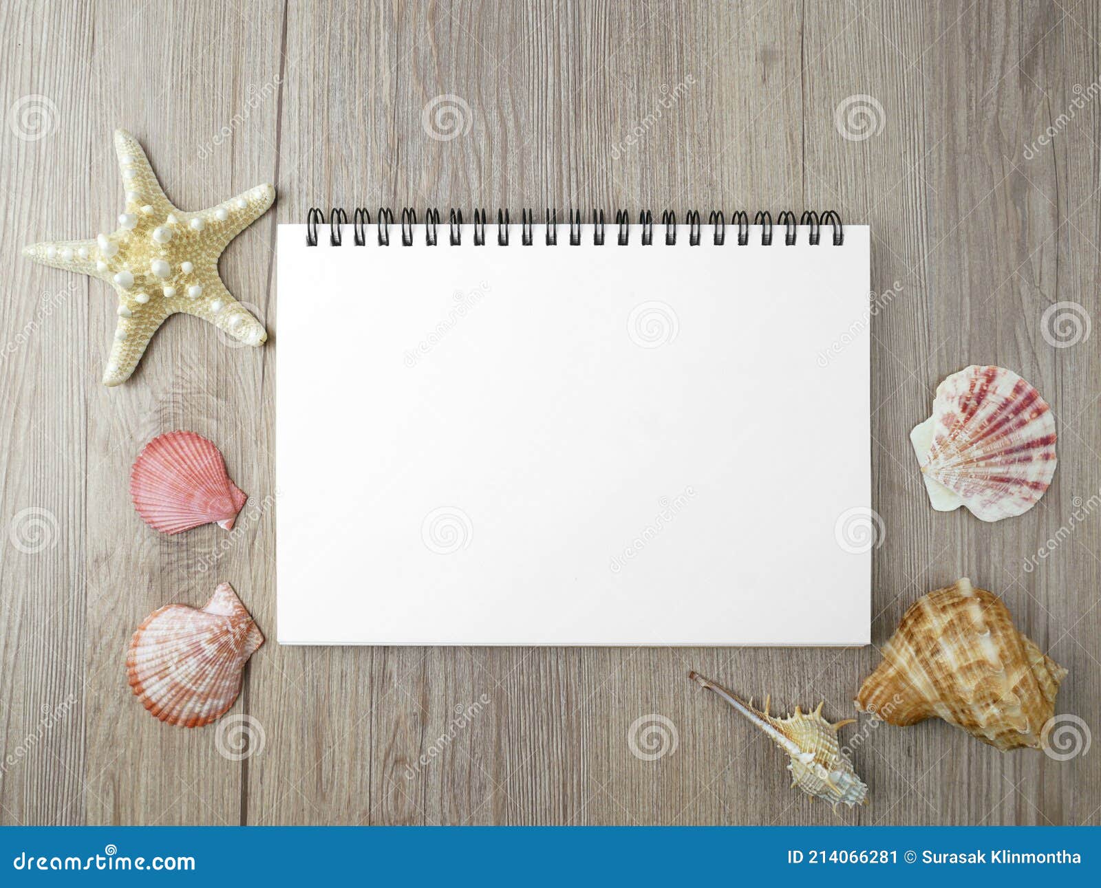 Sea Shells and Book on Wooden Stock Image - Image of relaxation, flat ...