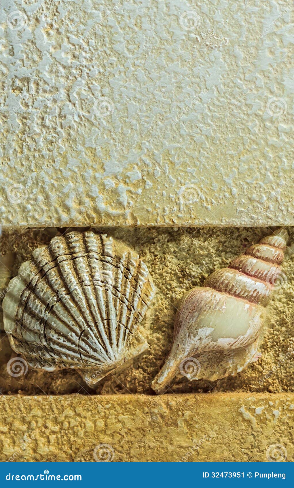 Sea Shells on Brown Background, Closeup Stock Image - Image of object ...