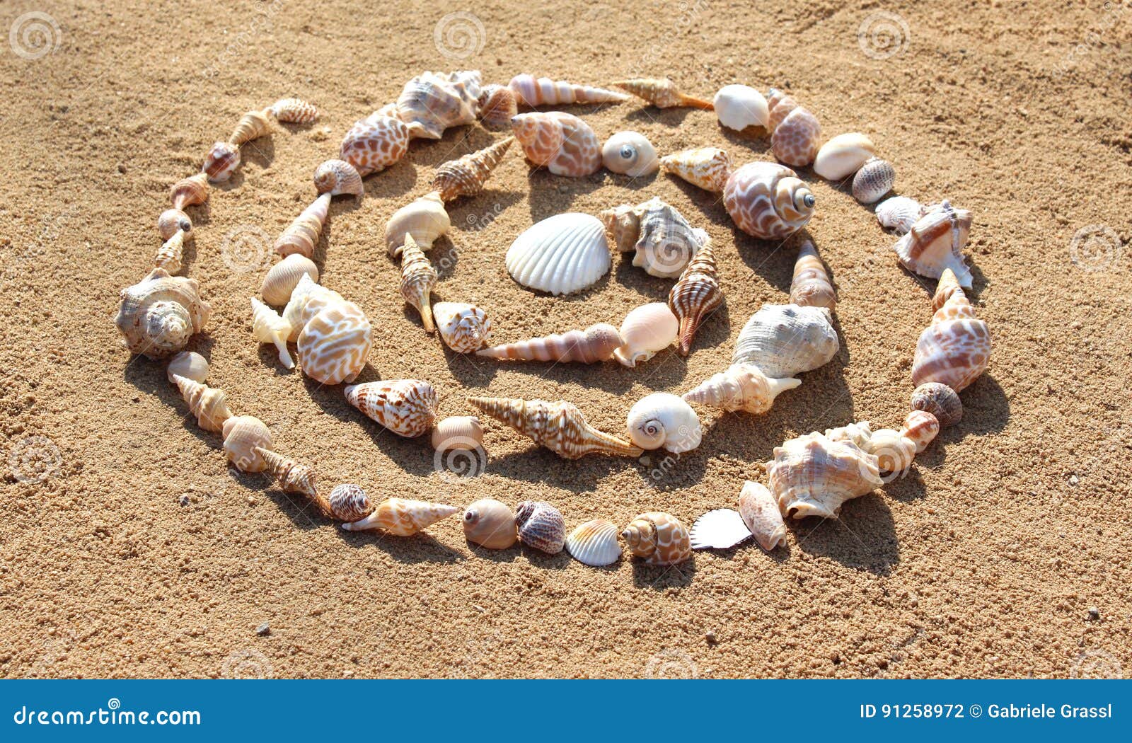 Sea Shells Building a Spiral on the Sand Stock Photo - Image of shells ...
