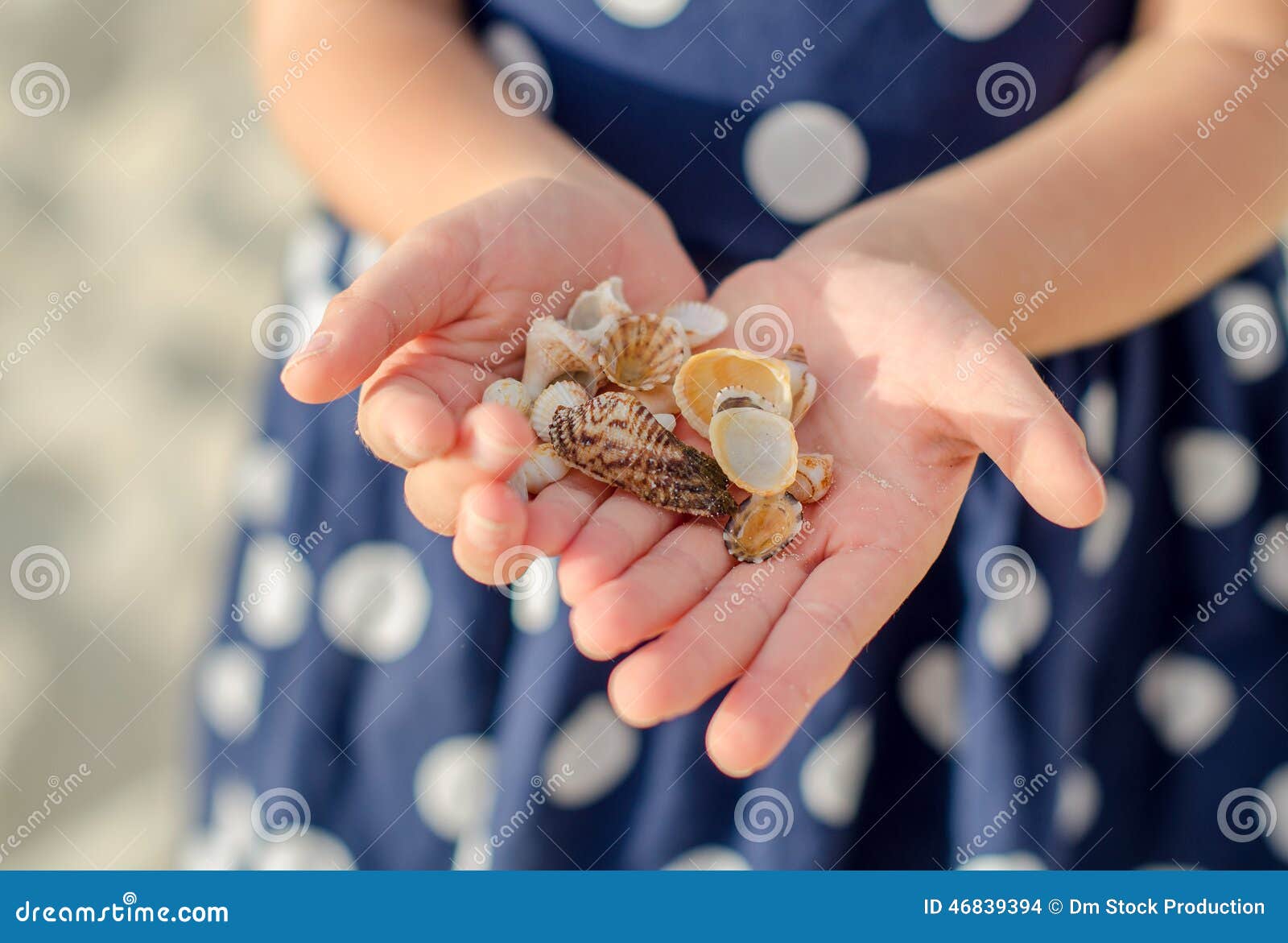 Sea shells. stock photo. Image of childhood, natural - 46839394