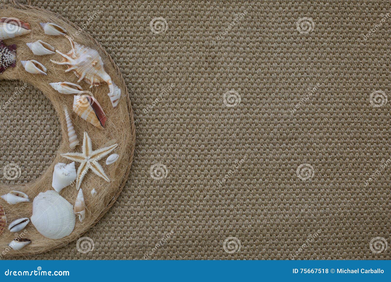 Sea shells on a circle stock photo. Image of nature, semicircle - 75667518