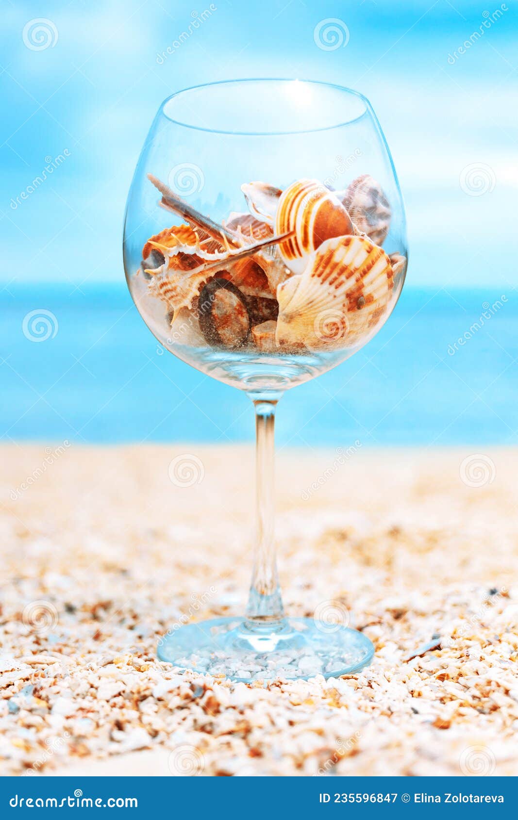 Sea Shells in Cocktail Glass on the Beach Stock Image - Image of nature ...