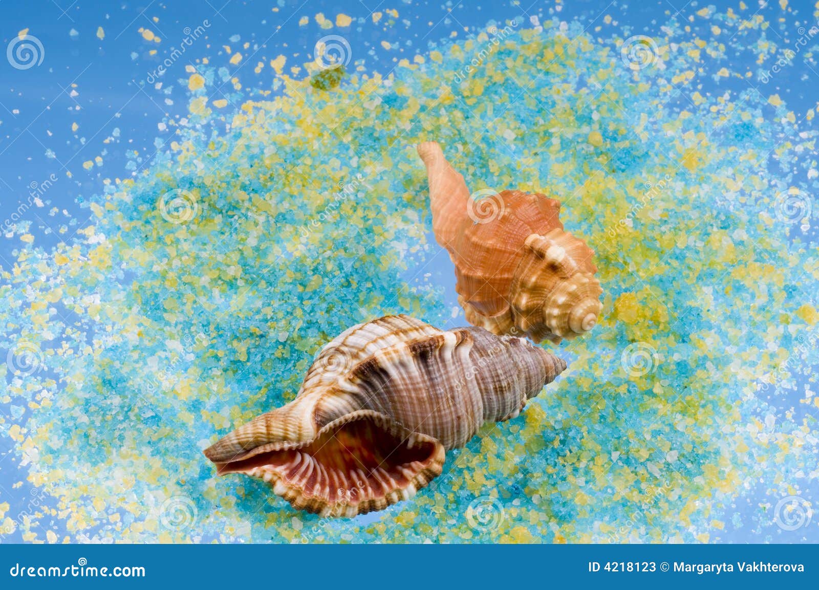 Sea Shells on Colorful Salt Grains. Stock Image - Image of aquatic ...