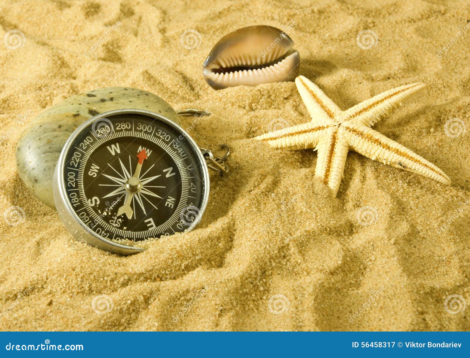 Sea shells and compass stock image. Image of concept - 56458317
